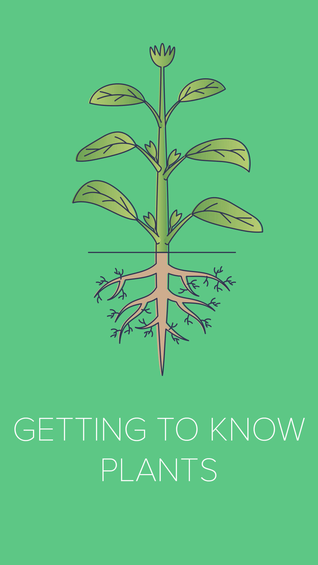Getting to Know Plants Videos & Resources | ClickView