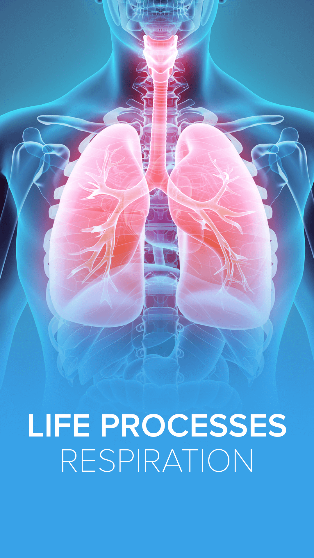 Life Processes: Respiration Videos & Worksheets | ClickView