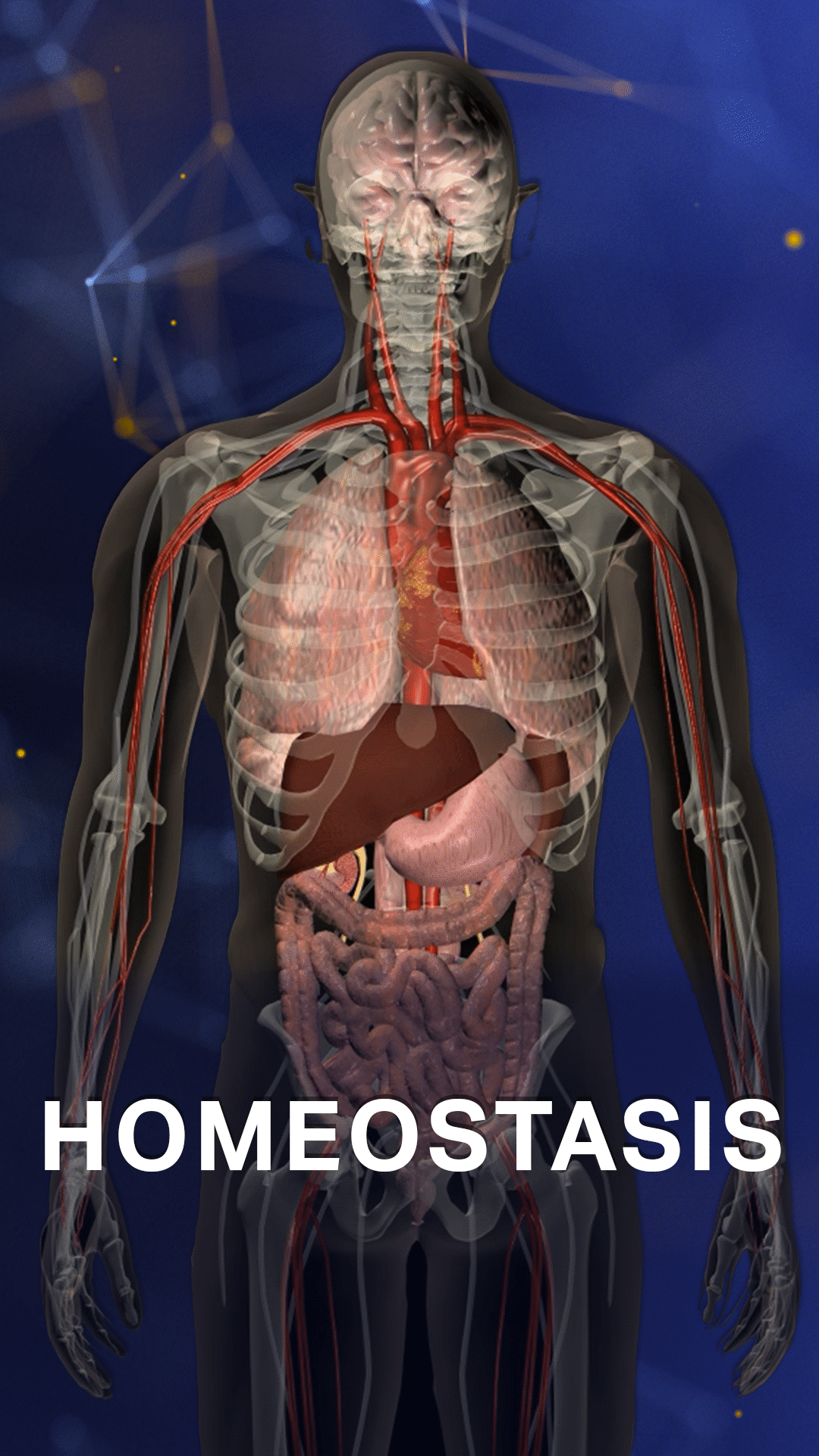 Homeostasis Videos & Resources | ClickView
