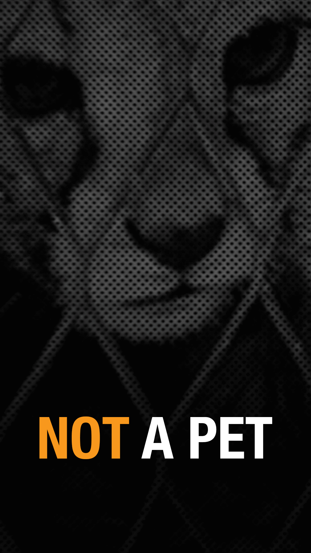 Not a Pet Videos & Resources | ClickView