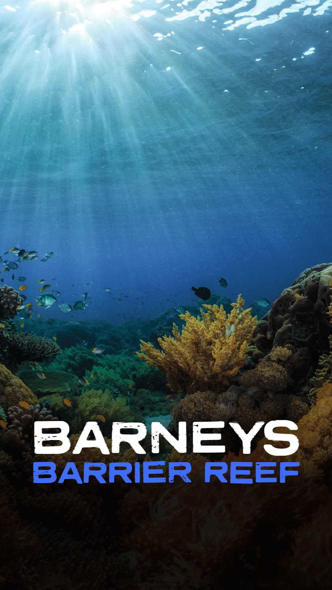 Barney's Barrier Reef Videos & Resources | ClickView