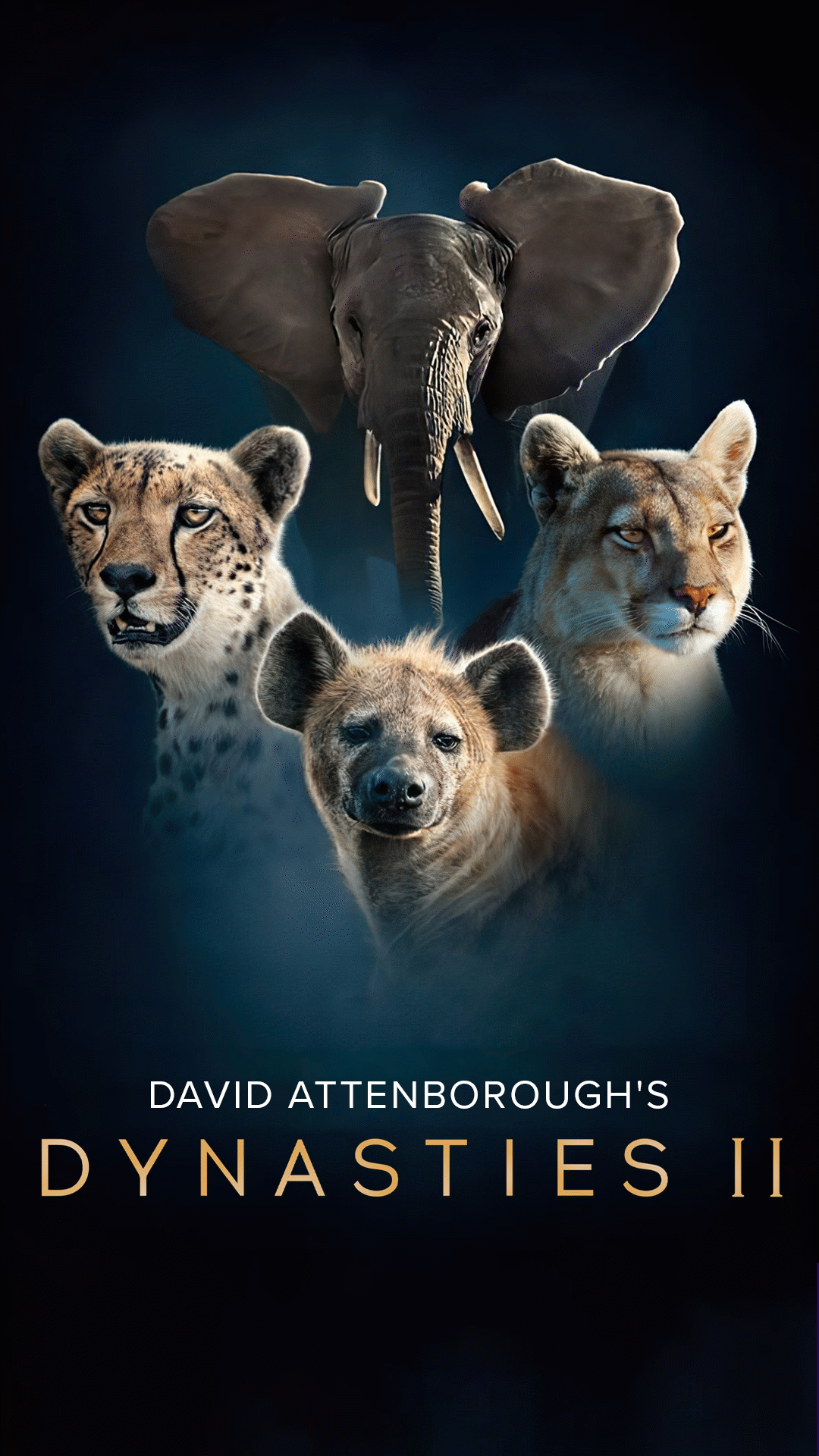 David Attenborough's Dynasties II | ClickView