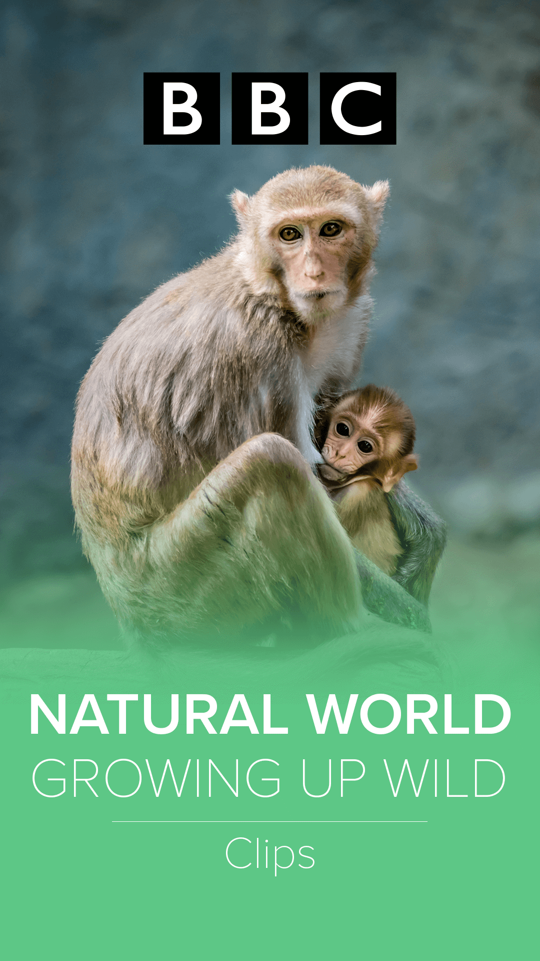 Natural World: Growing Up Wild (Clips) | ClickView