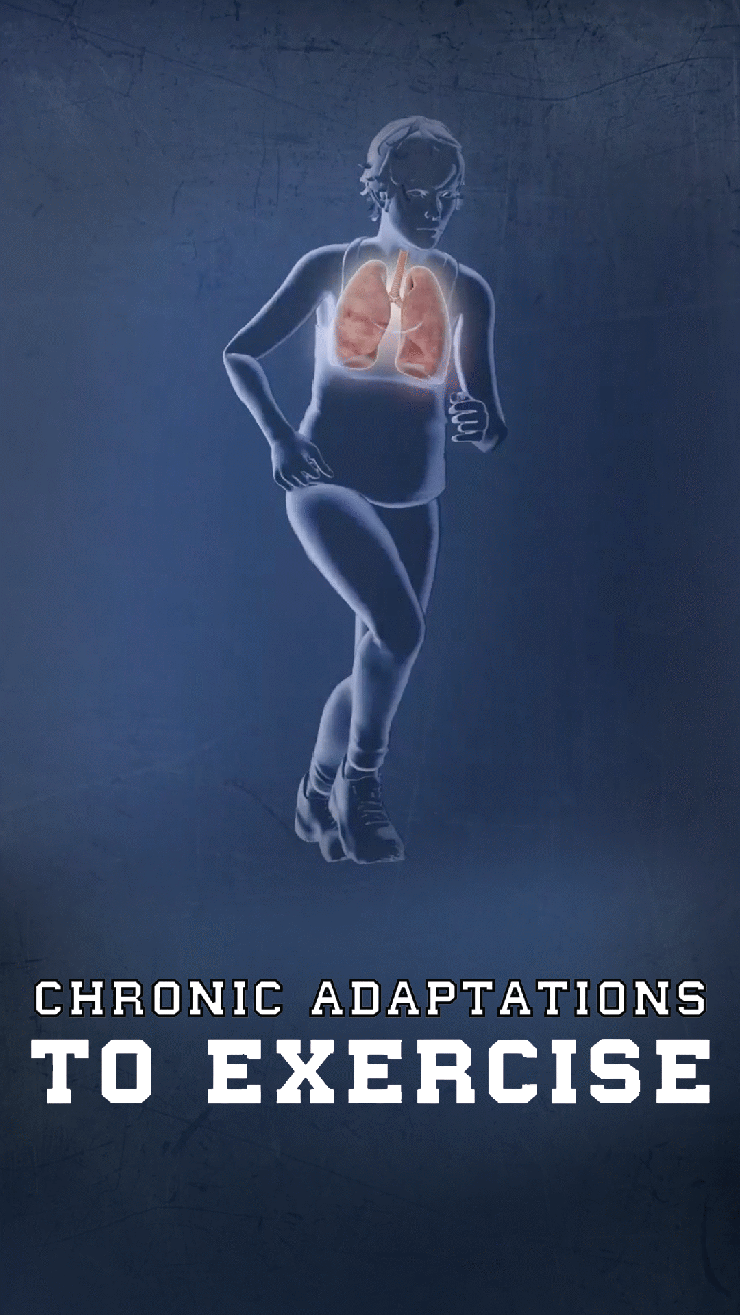 Chronic Adaptations to Exercise | ClickView