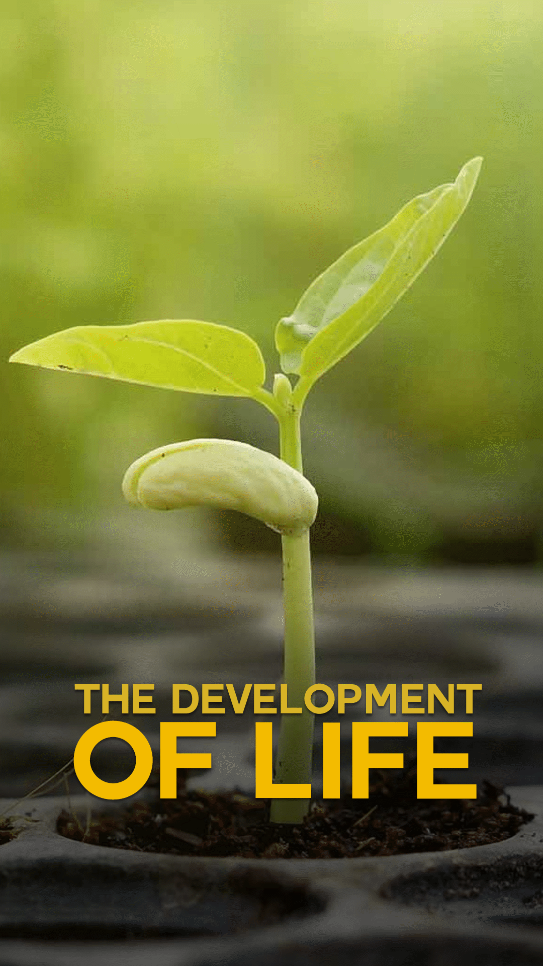 The Development of Life Videos & Resources | ClickView