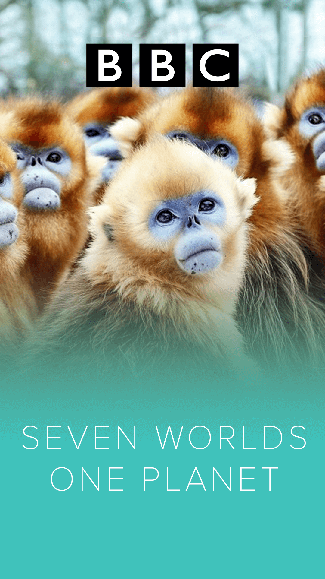 Seven Worlds, One Planet Videos & Resources | ClickView