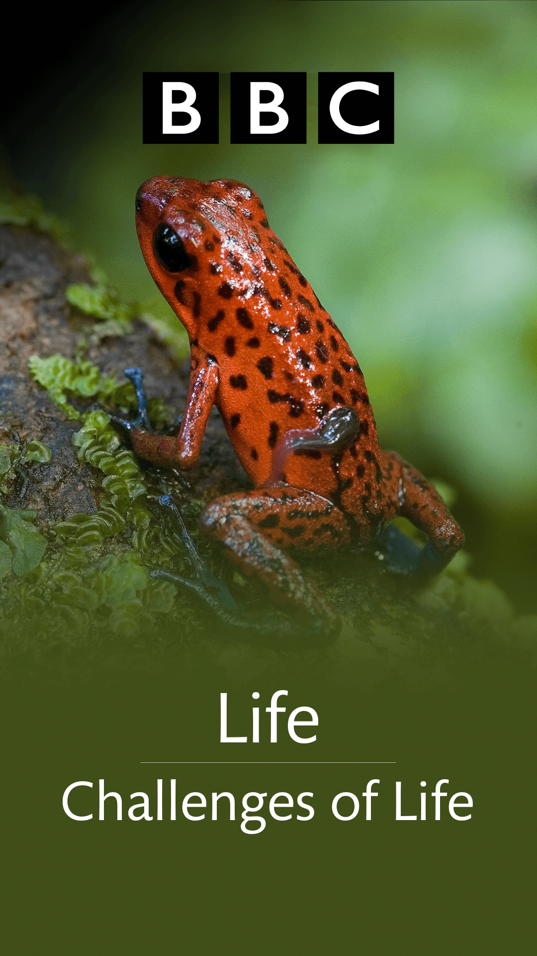 Life: Challenges of Life (Clips) | ClickView