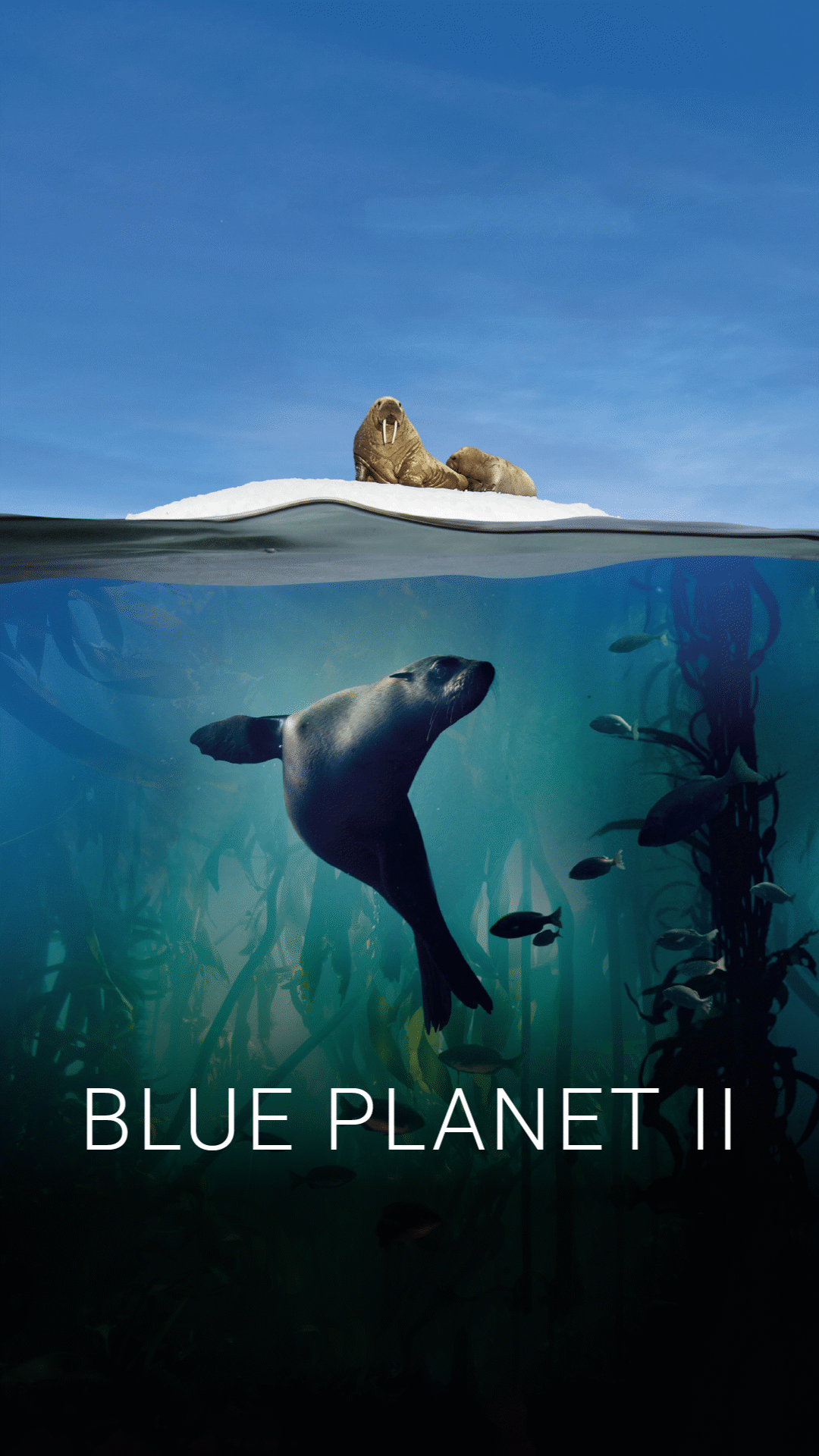 Watch the latest Movies + TV content for Primary | ClickView