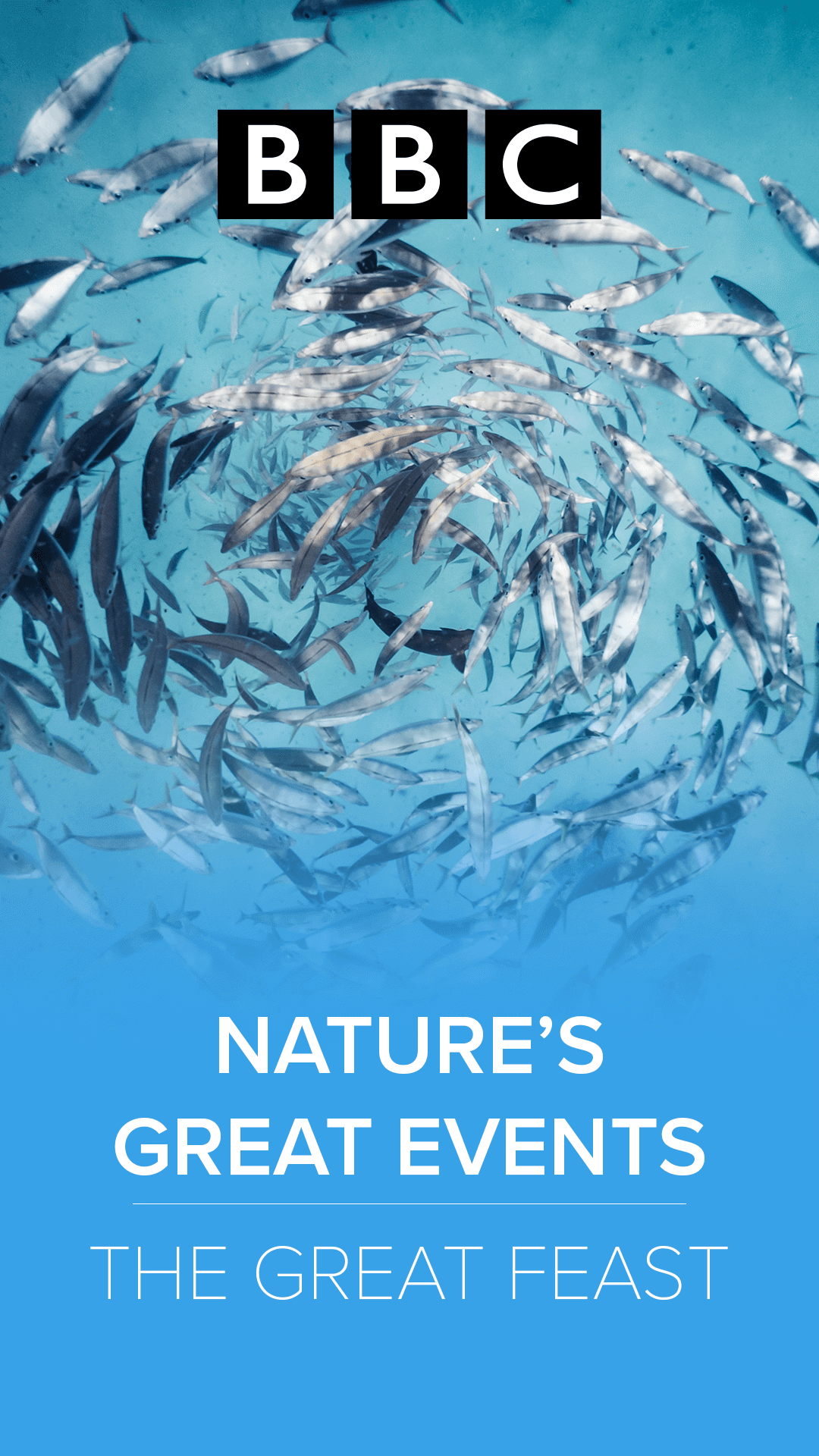 Nature's Great Events: The Great Feast (Clips) | ClickView