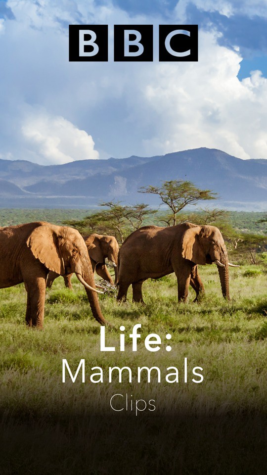 Life: Mammals (Clips) Videos & Worksheets | ClickView