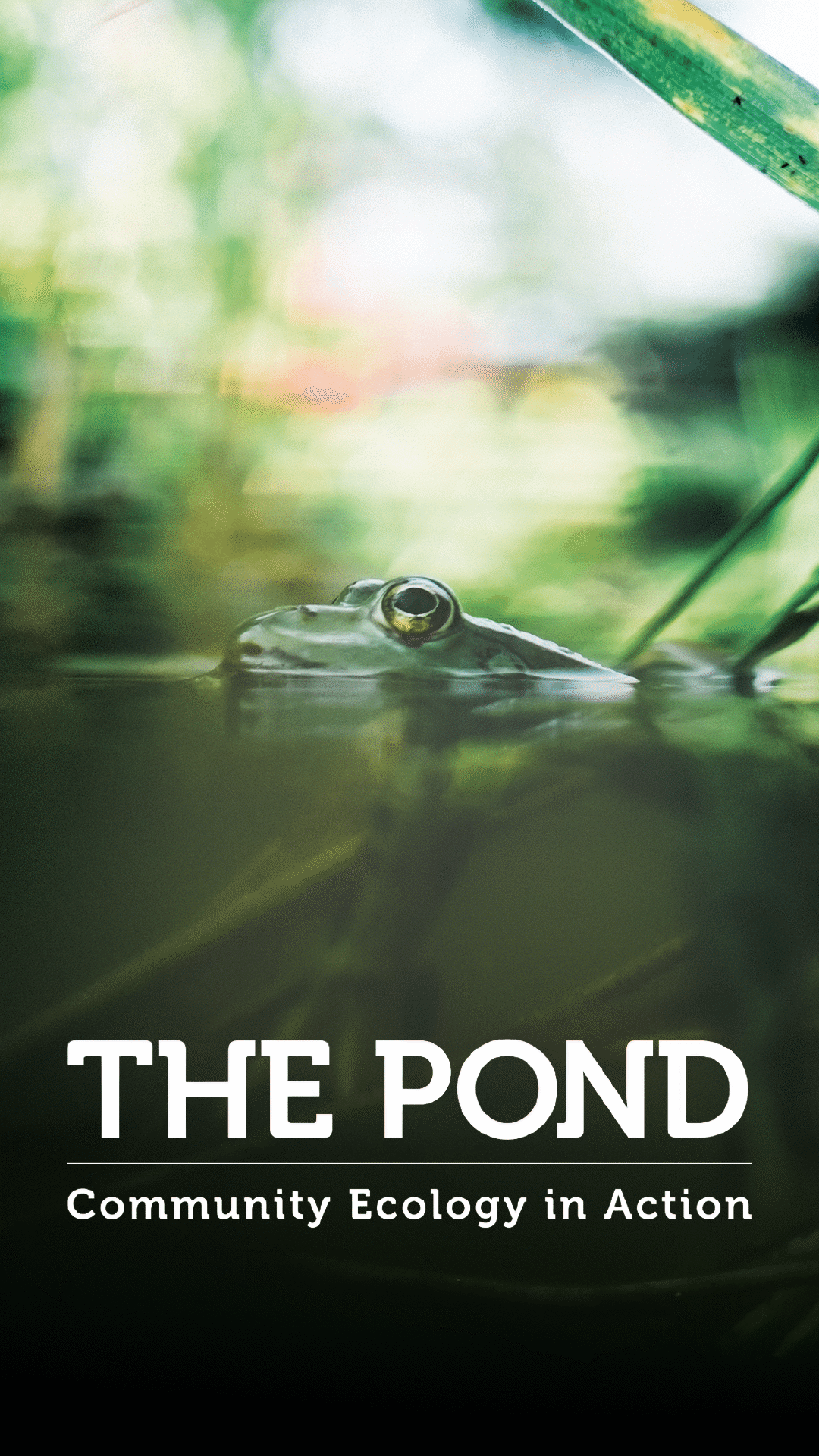 The Pond: Community Ecology in Action | ClickView