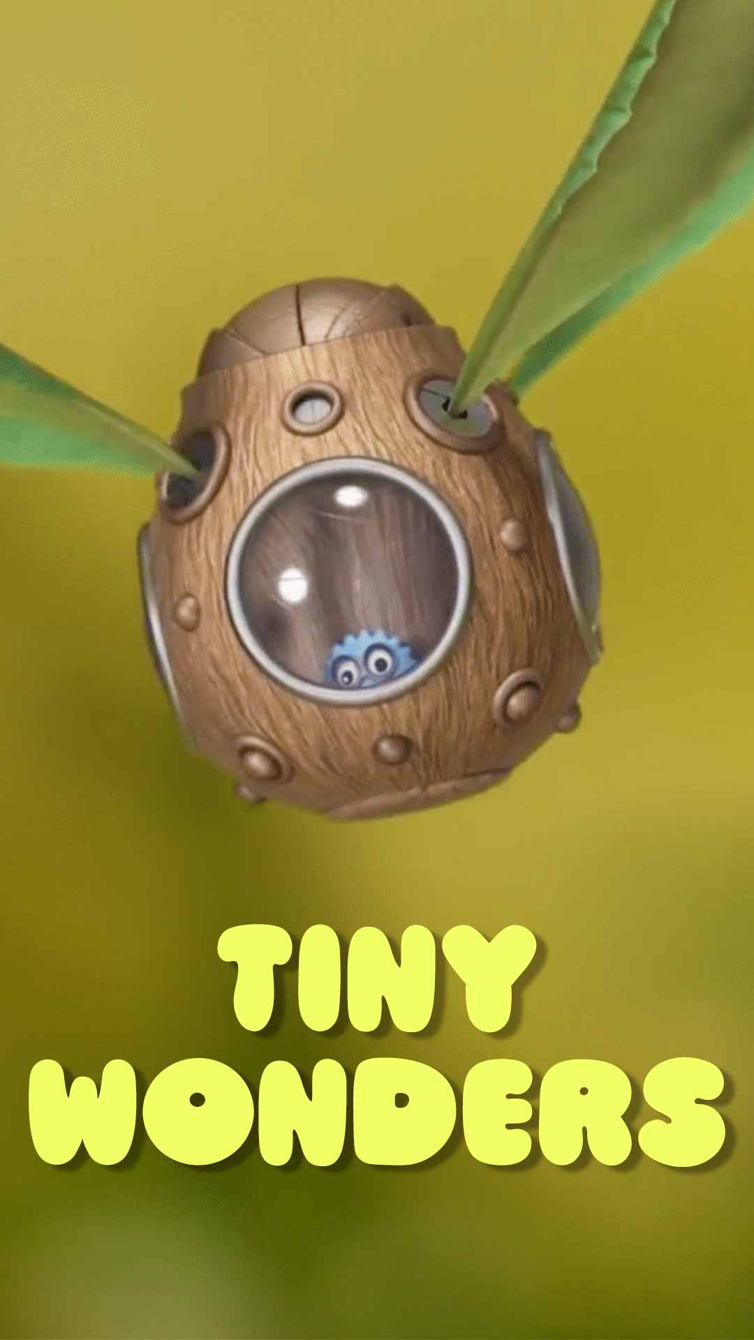 Tiny Wonders - ClickView