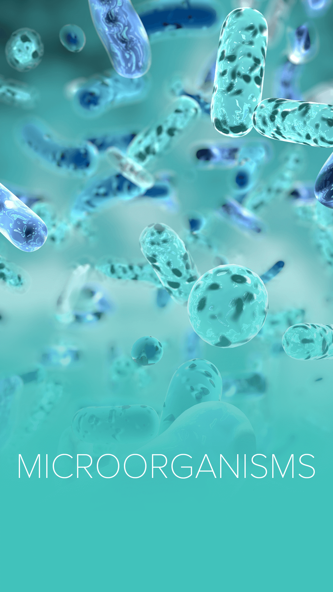 Microorganisms Videos & Resources | ClickView