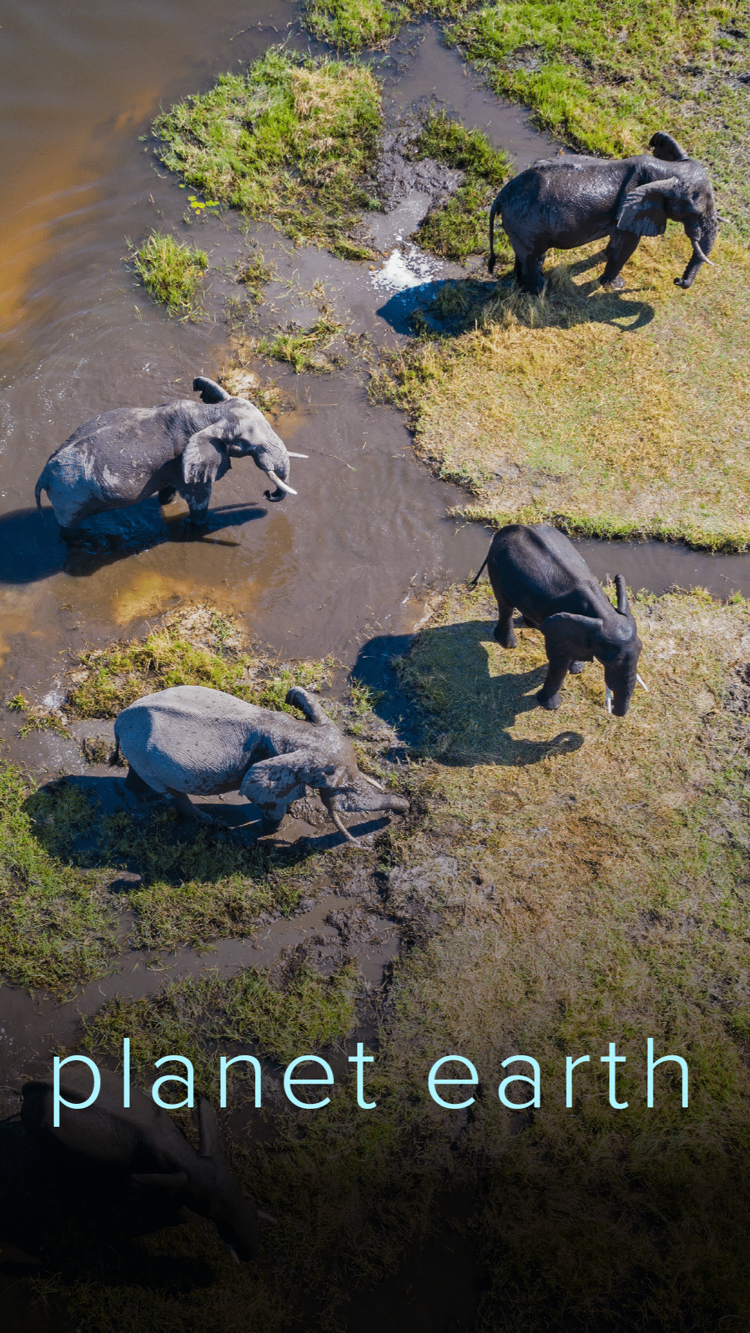 Planet Earth Videos & Resources | ClickView