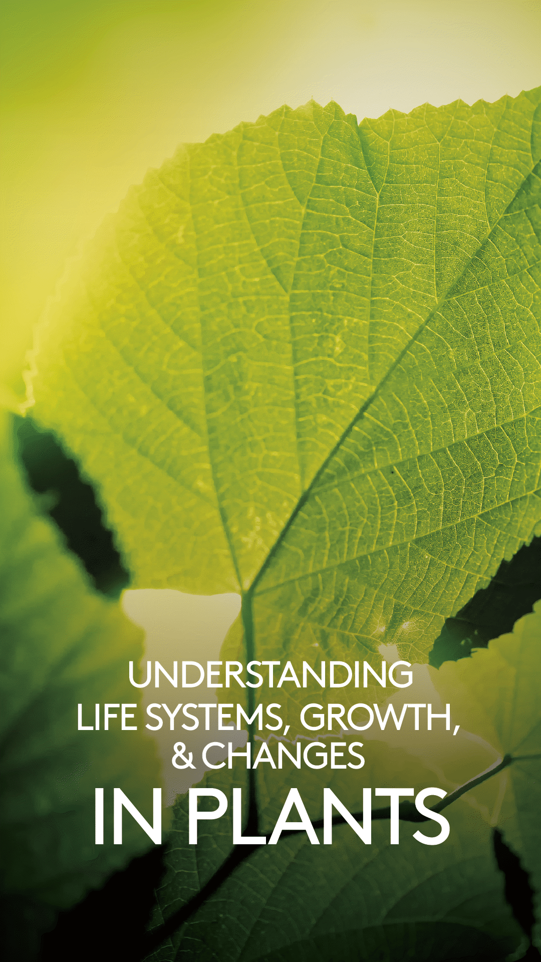 Understanding Life Systems: Growth and Changes in Plants | ClickView