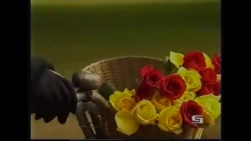 Federation - The People - ClickView