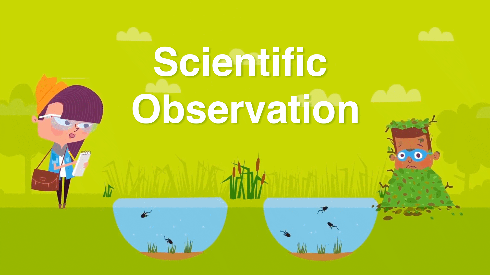 Why Do Scientists Observe Things over Time? | ClickView