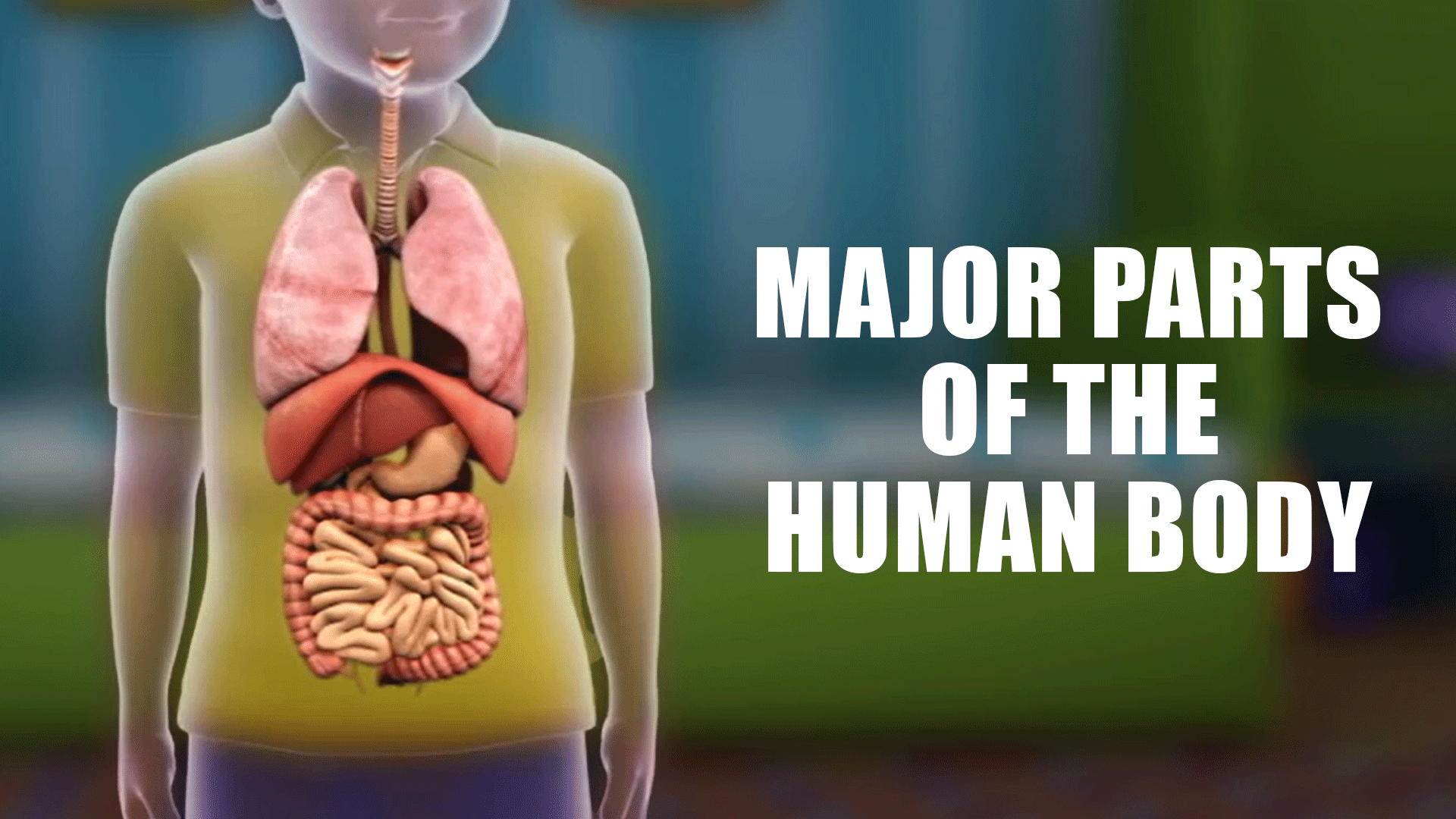 Body Parts and Systems | ClickView
