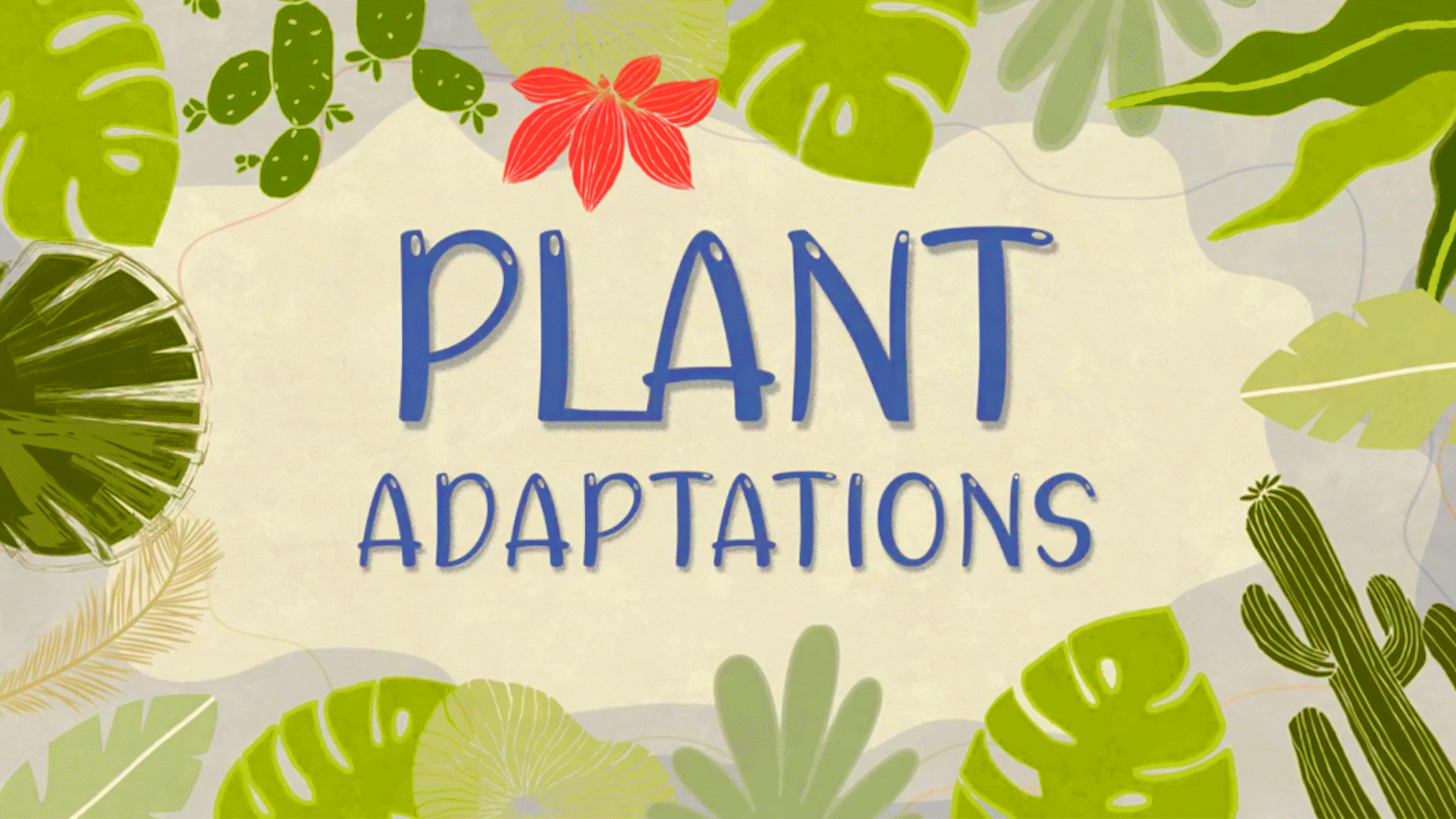 Plant Adaptations Video & Resources | ClickView