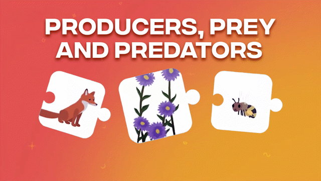 Food Chains and Habitats Video & Resources | ClickView Food Chains and Habitats Video & Resources | ClickView