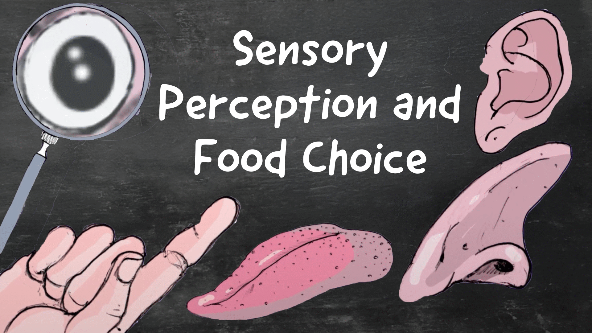 Sensory Perception and Food Choice | ClickView