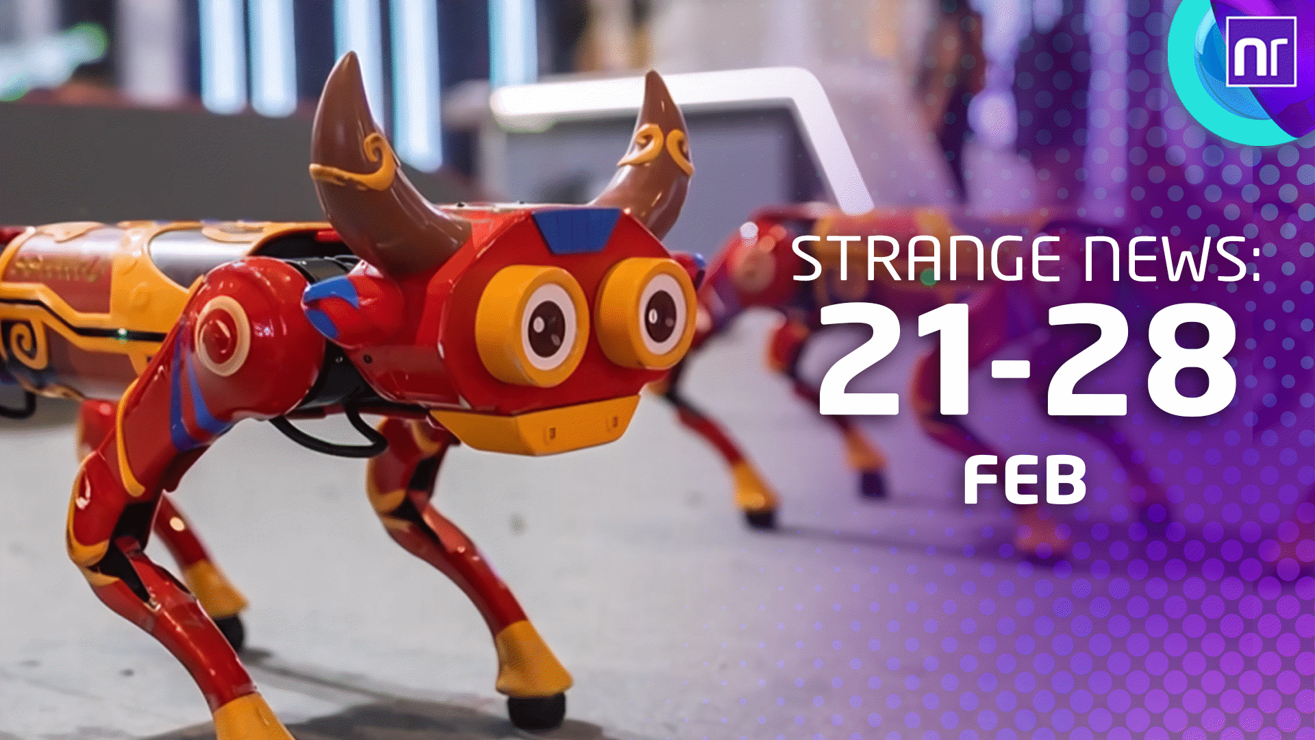 Strange News: 28/02/2025 Video & Resources | ClickView