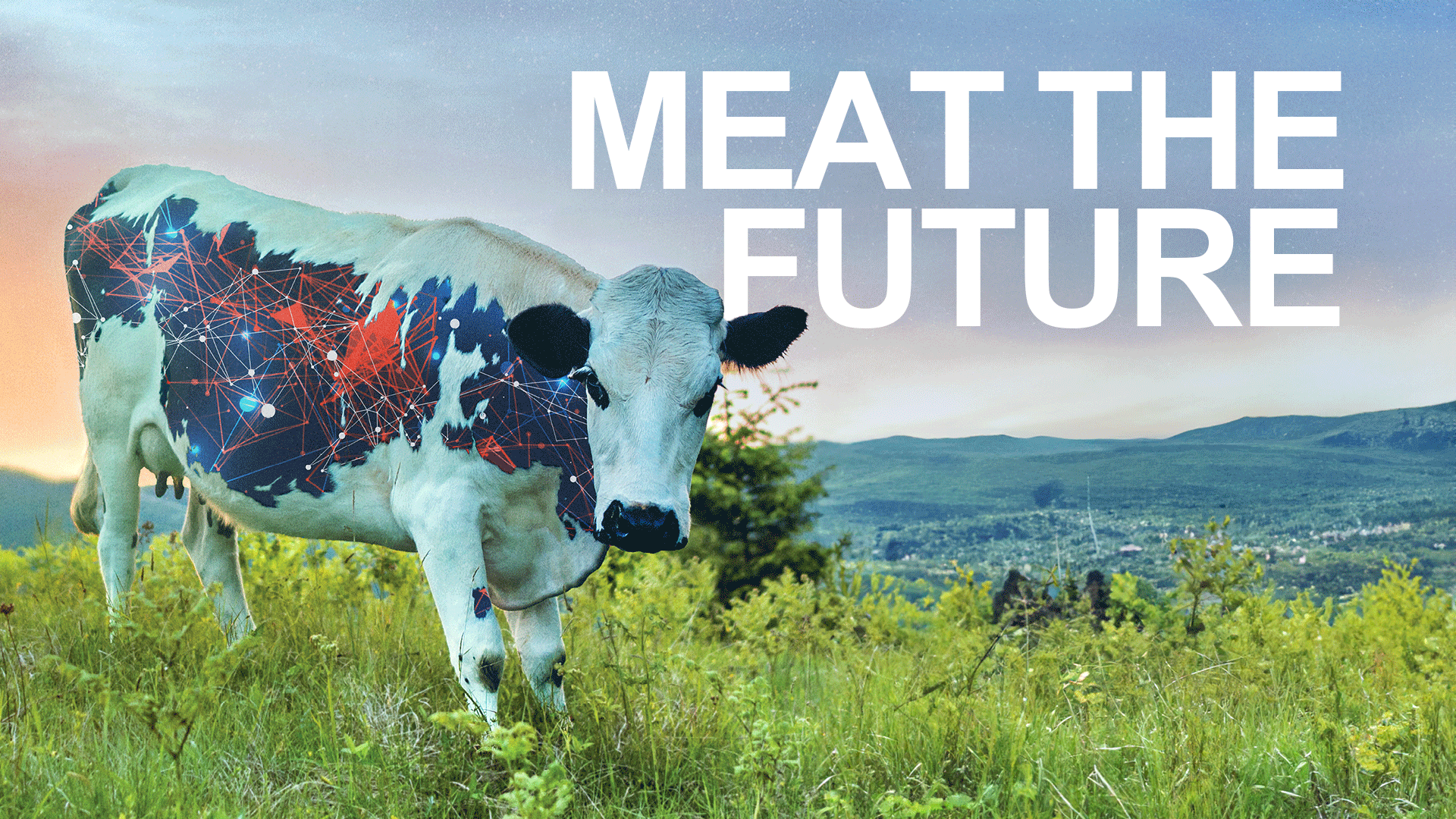 Secondary | ClickView