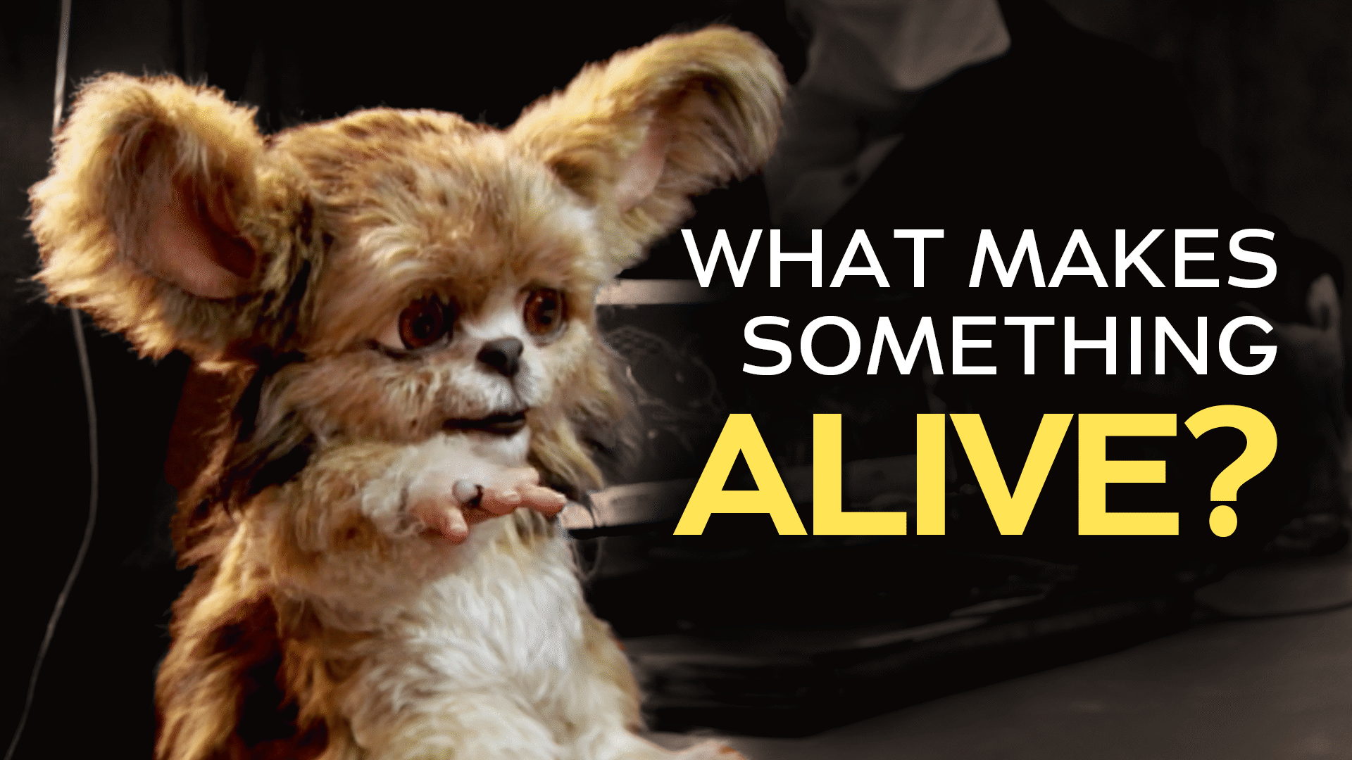 Living Things Video & Resources | ClickView