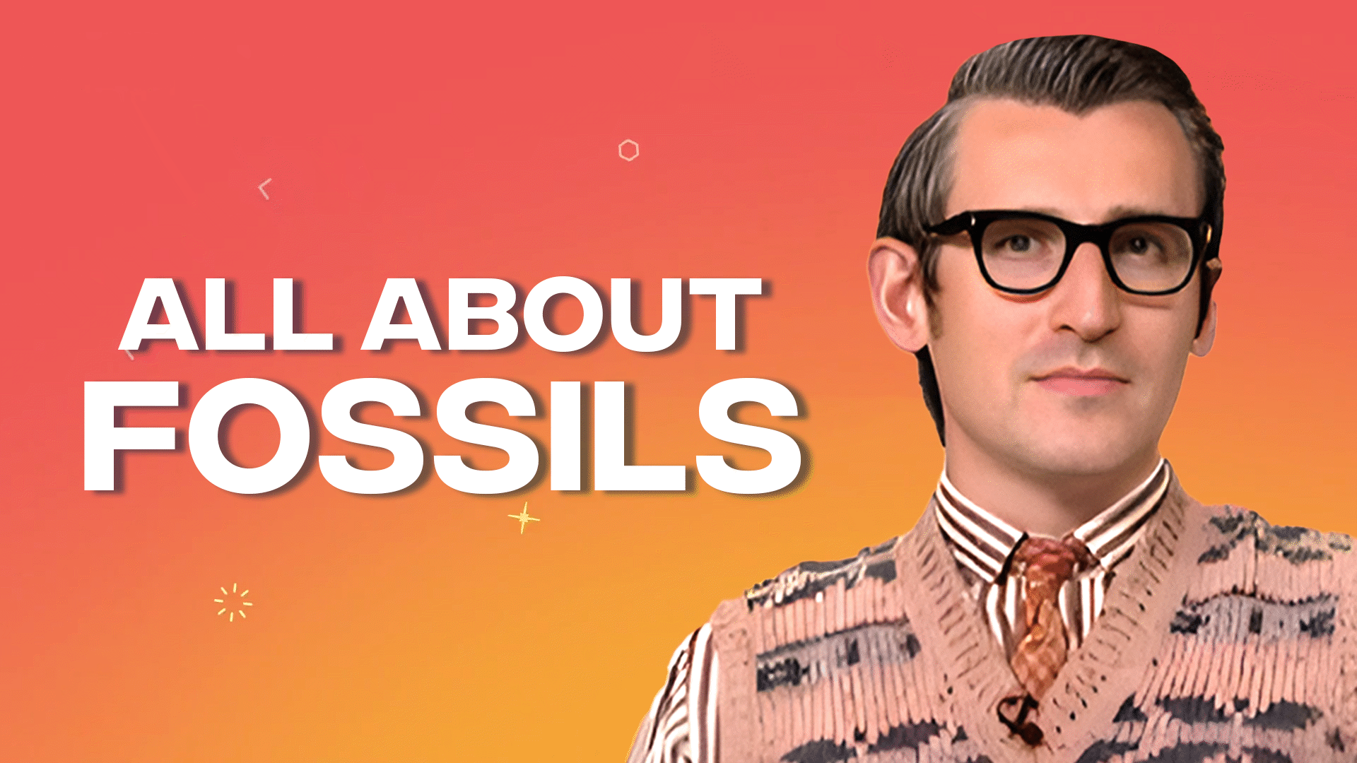Fossils Videos, Resources & Worksheets | ClickView