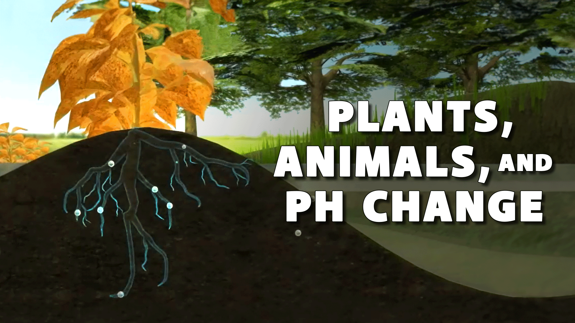 Sensitivity of Plants and Animals to pH Change | ClickView