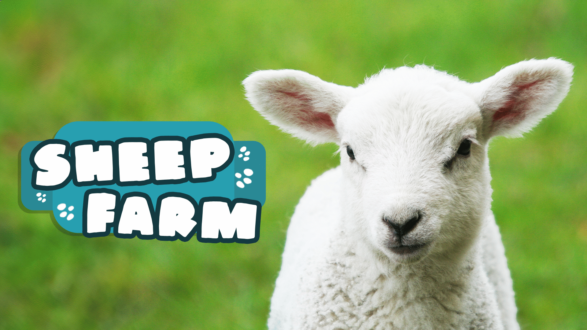 Ferne and Rory's Vet Tales Videos & Resources | ClickView