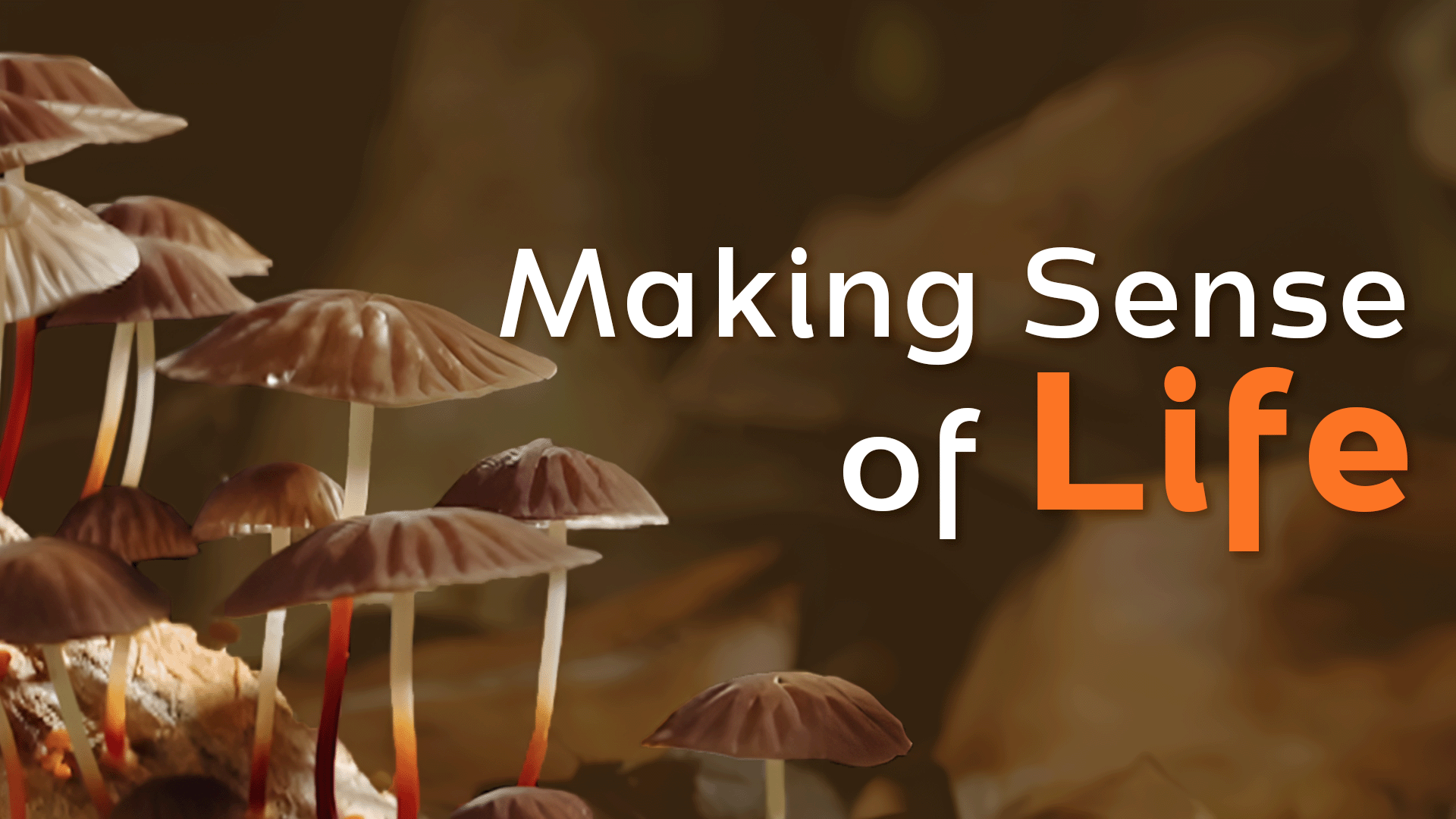 Variation and Classification | ClickView