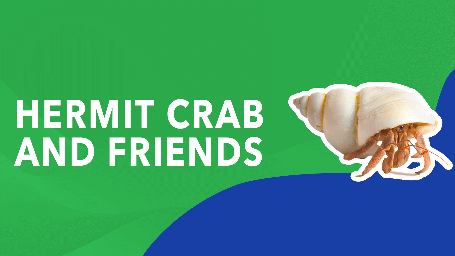 Hermit Crab and Friends Recording | Streamable Learning