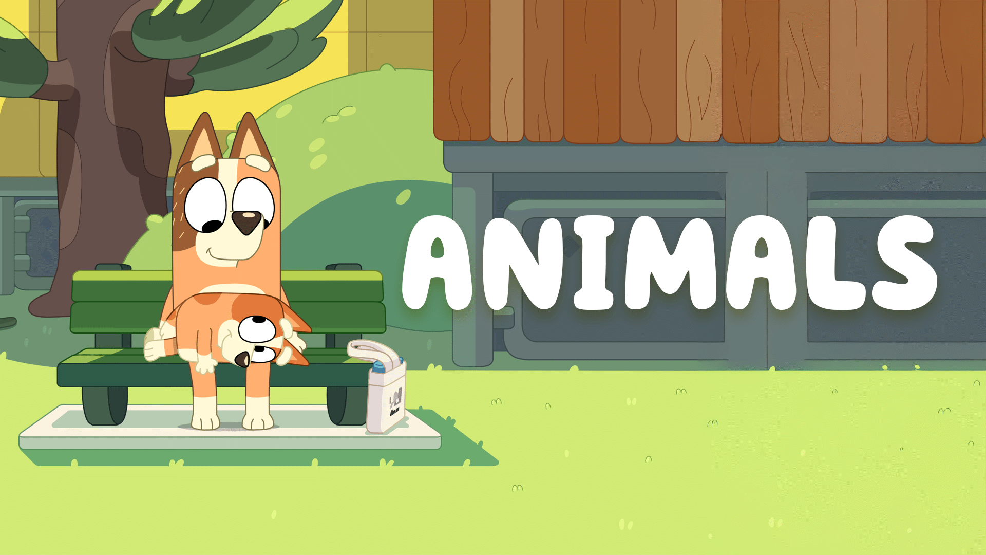 Bluey Minisodes Videos & Resources | ClickView