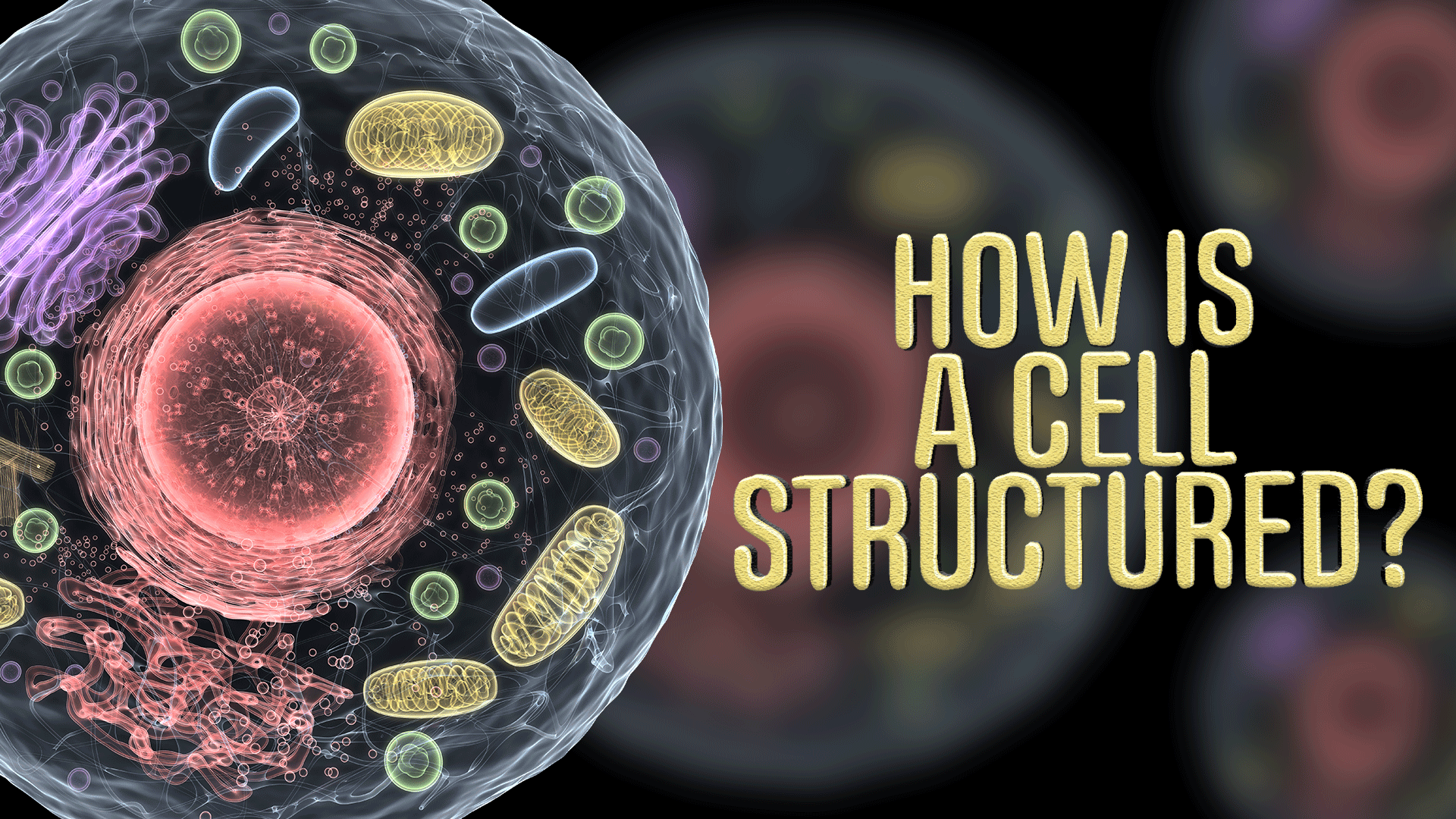 Cells and Their Organelles - ClickView