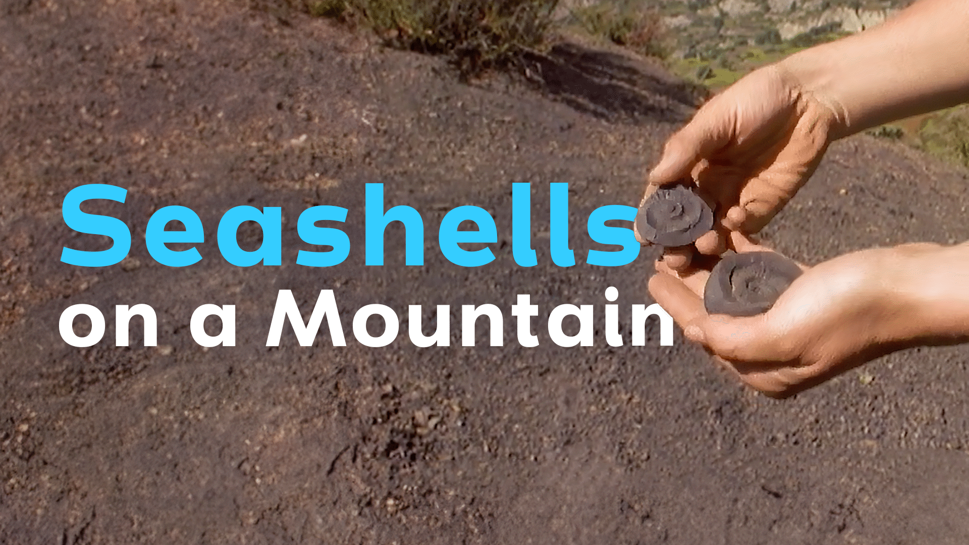 Physical Geography: Mountains - Seashells on a Mountain - ClickView