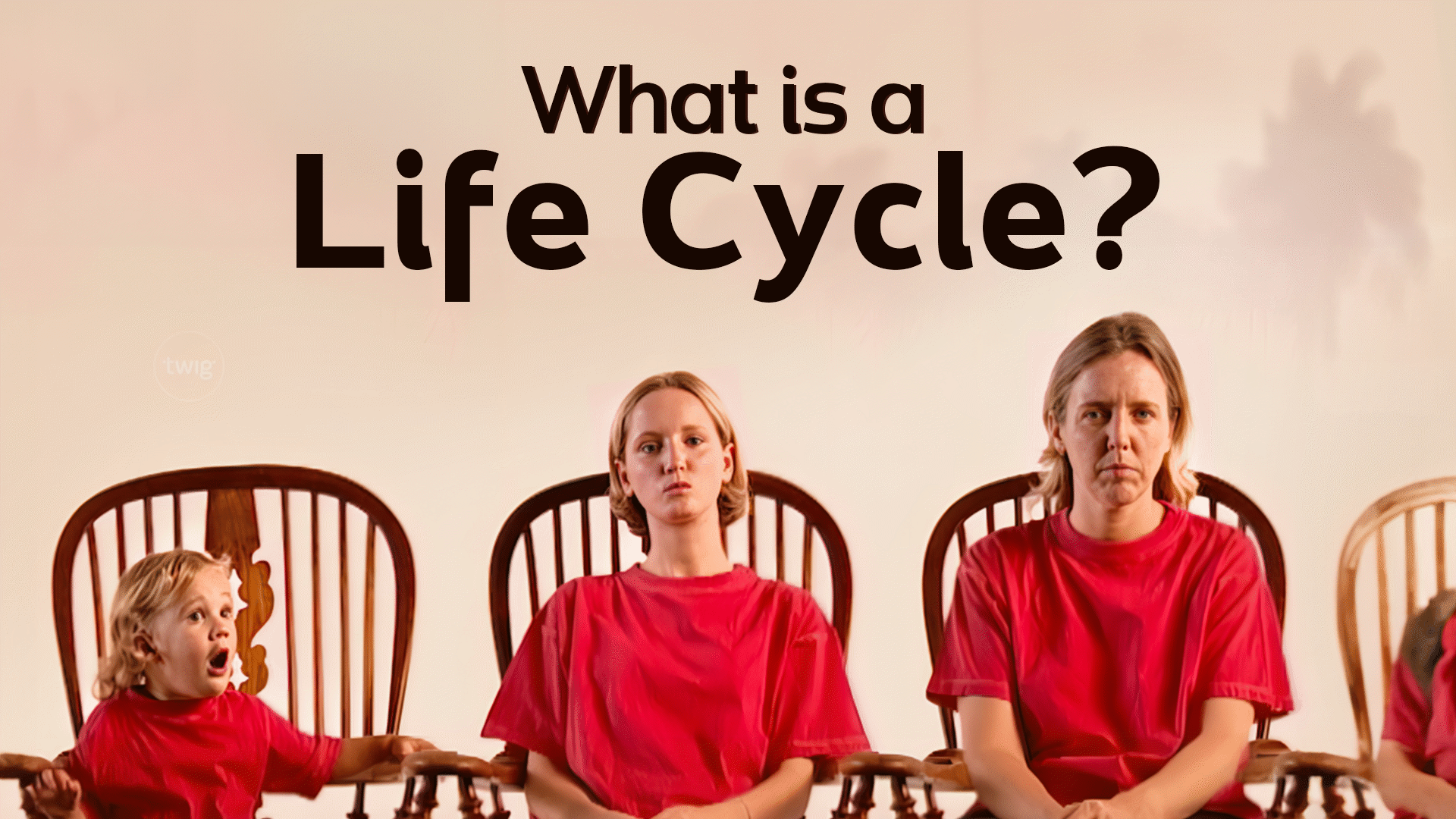What Is a Life Cycle? Video & Resources | ClickView