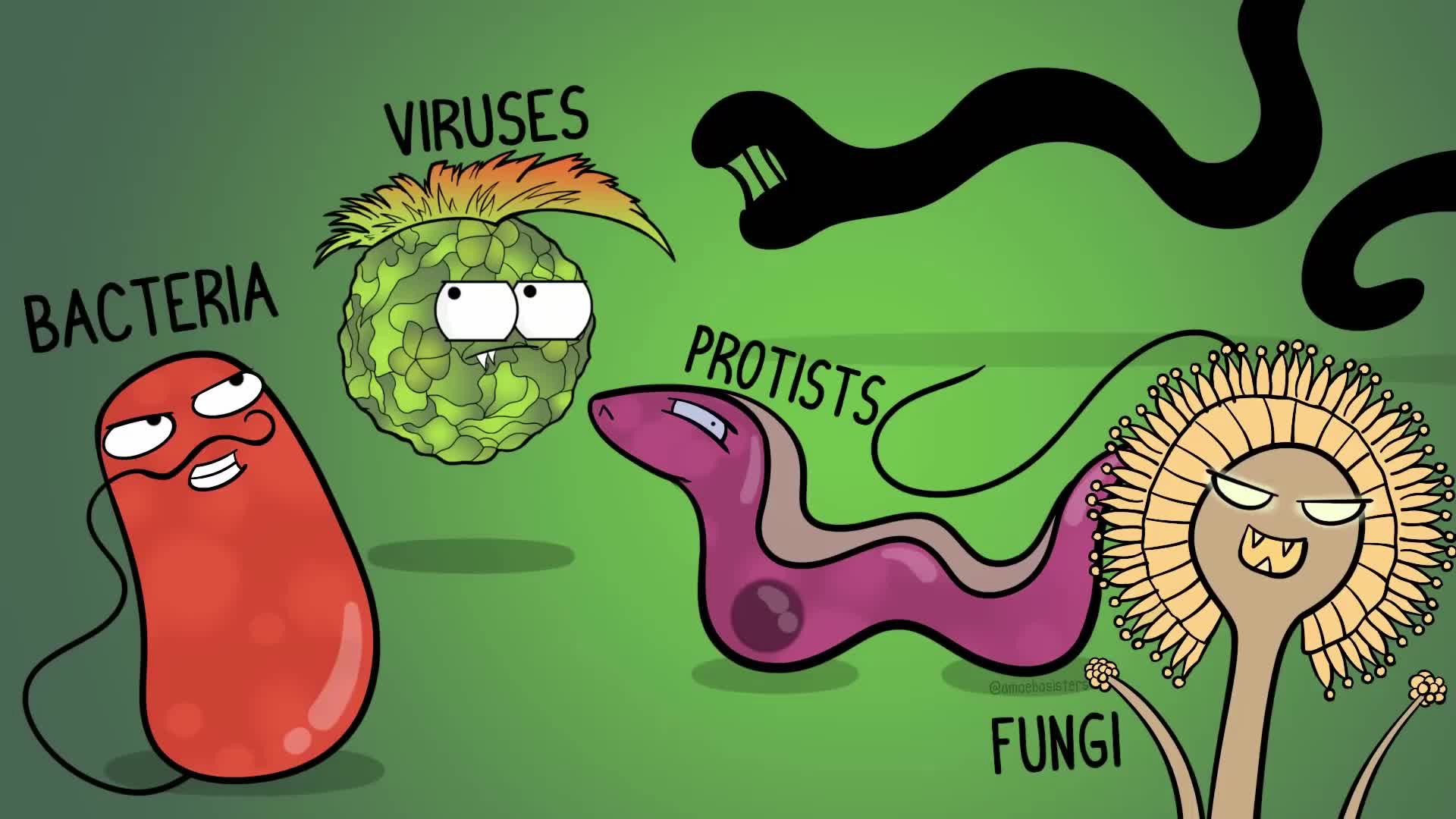 Discover New Secondary Videos & Resources | ClickView