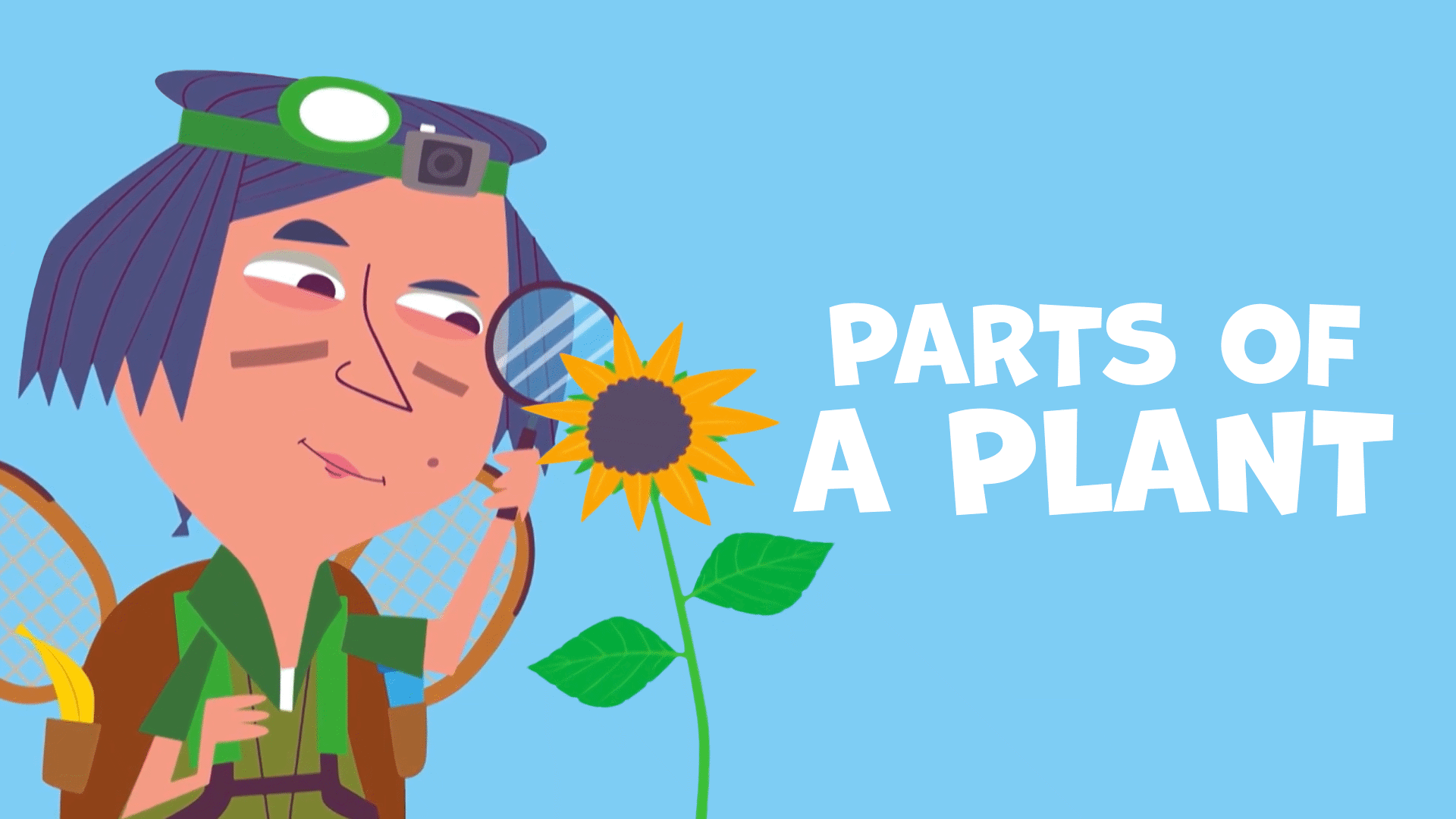 Life of Plants Videos, Resources & Worksheets | ClickView