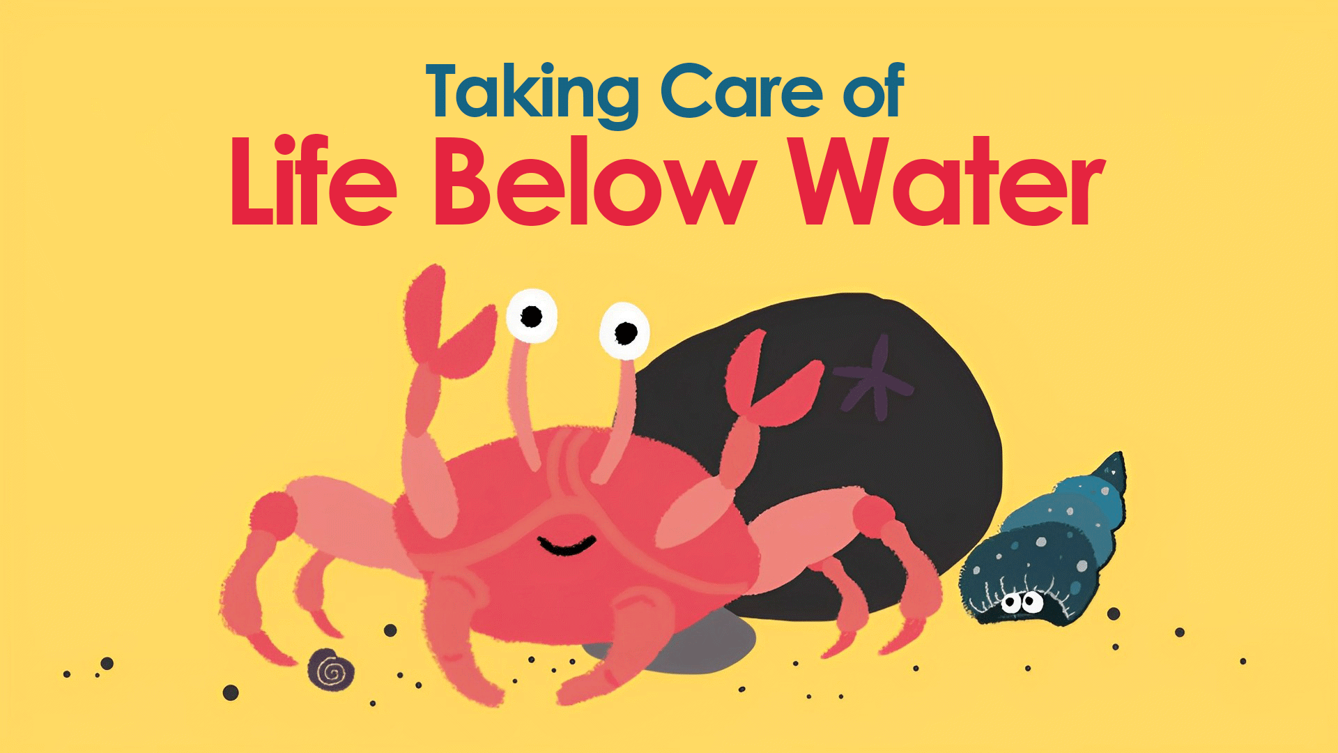 Goal 14: Life Below Water Video & Resources | ClickView