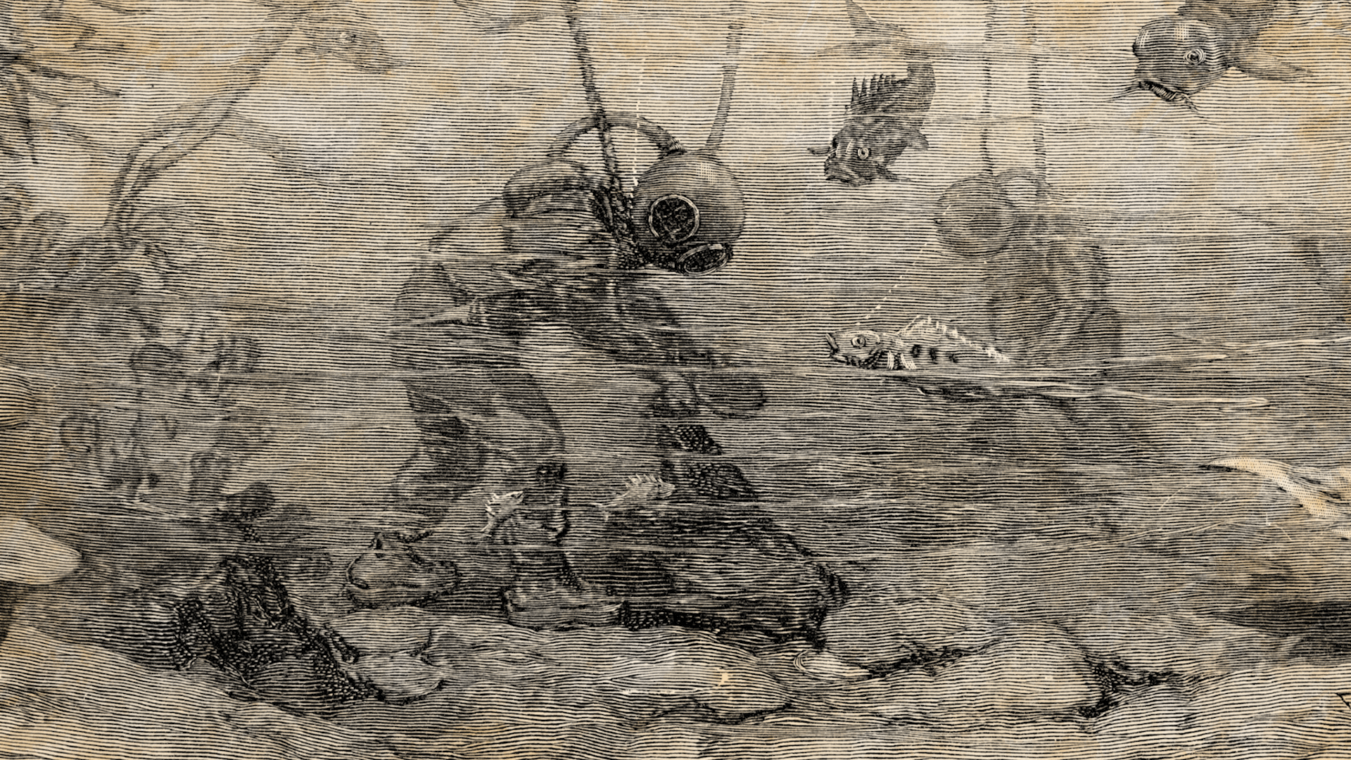 Pearl Diving in Australia Video & Resources | ClickView