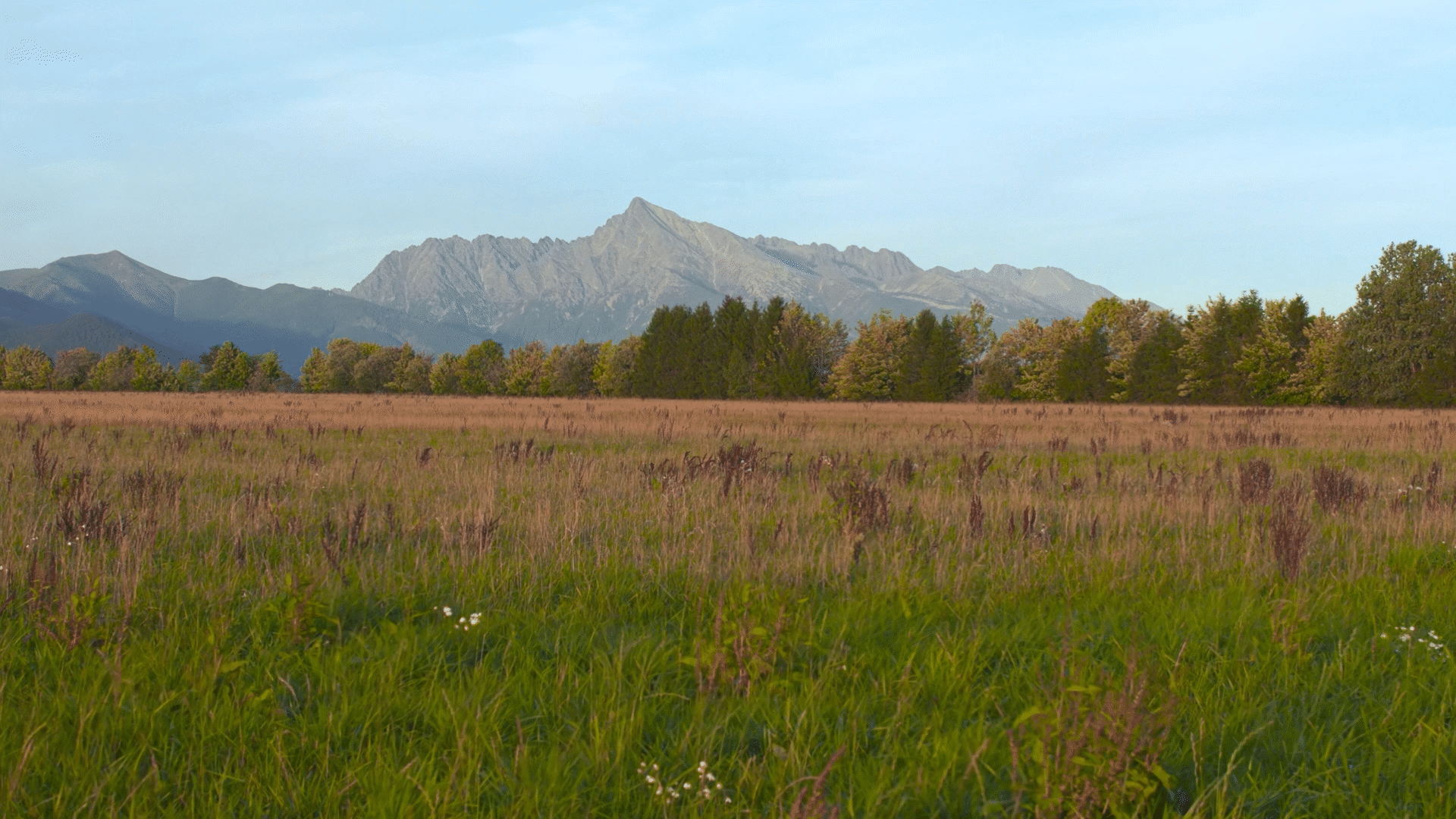 Embedded Online Player - ClickView