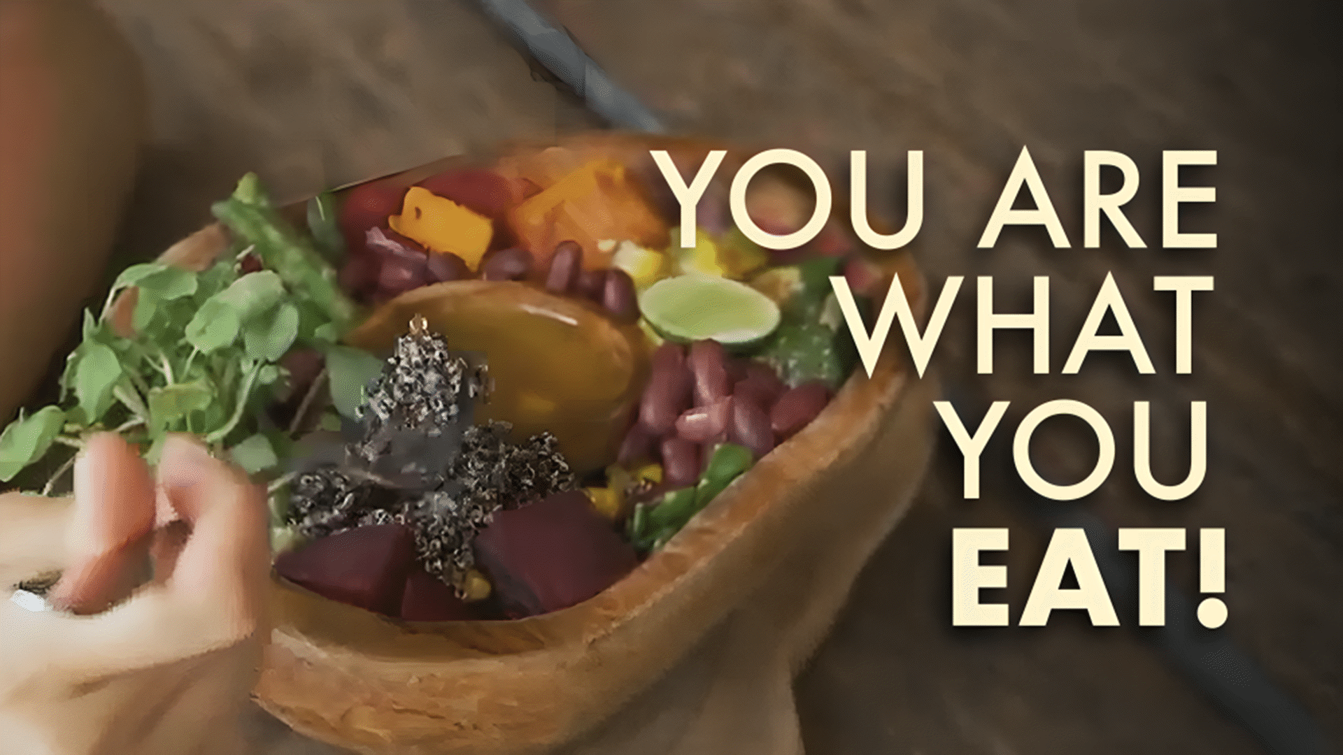 SciShow Psych Videos & Resources | ClickView