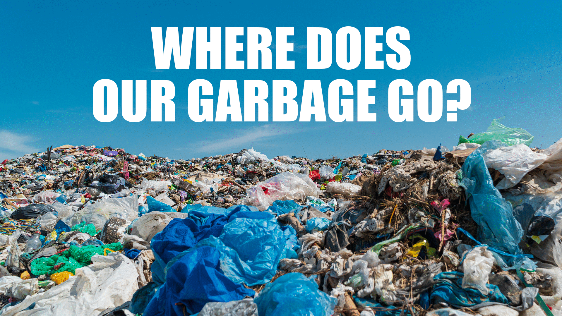 Waste Not - ClickView