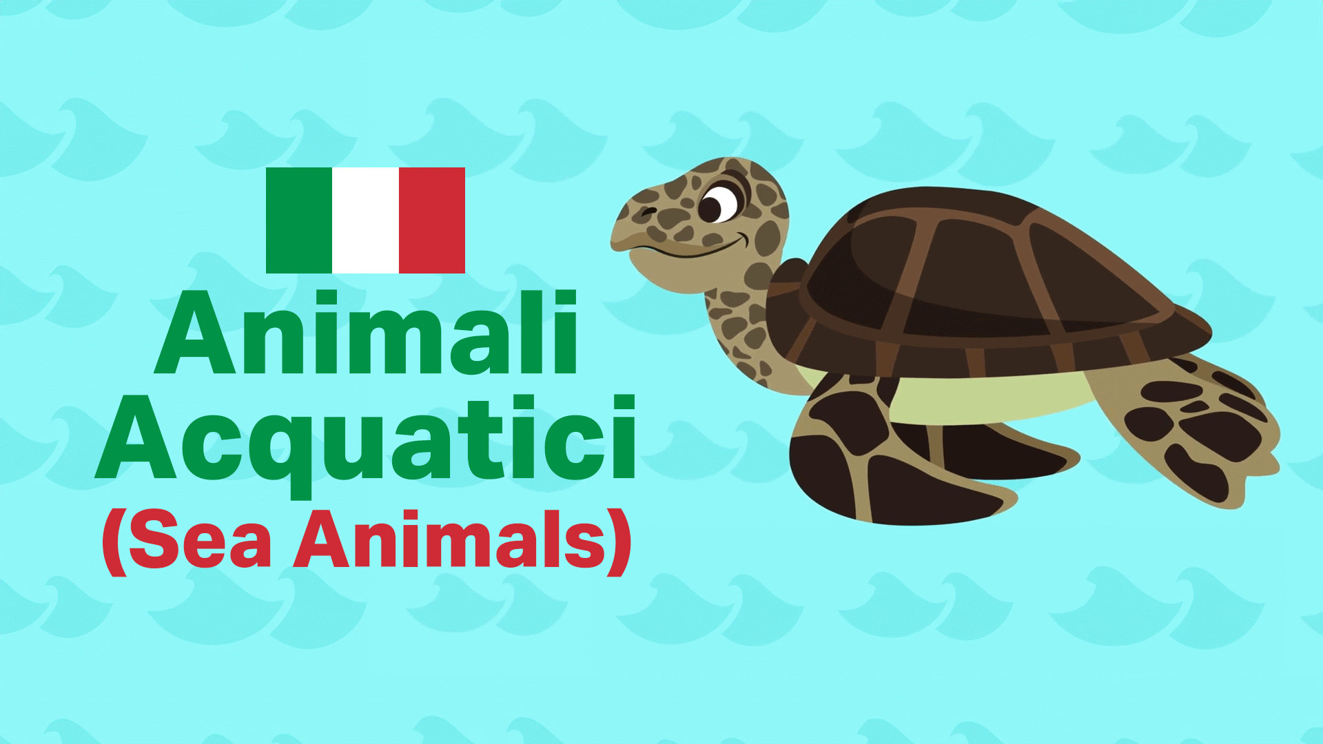 Sea Animals (Animali Acquatici) Video & Resources | ClickView