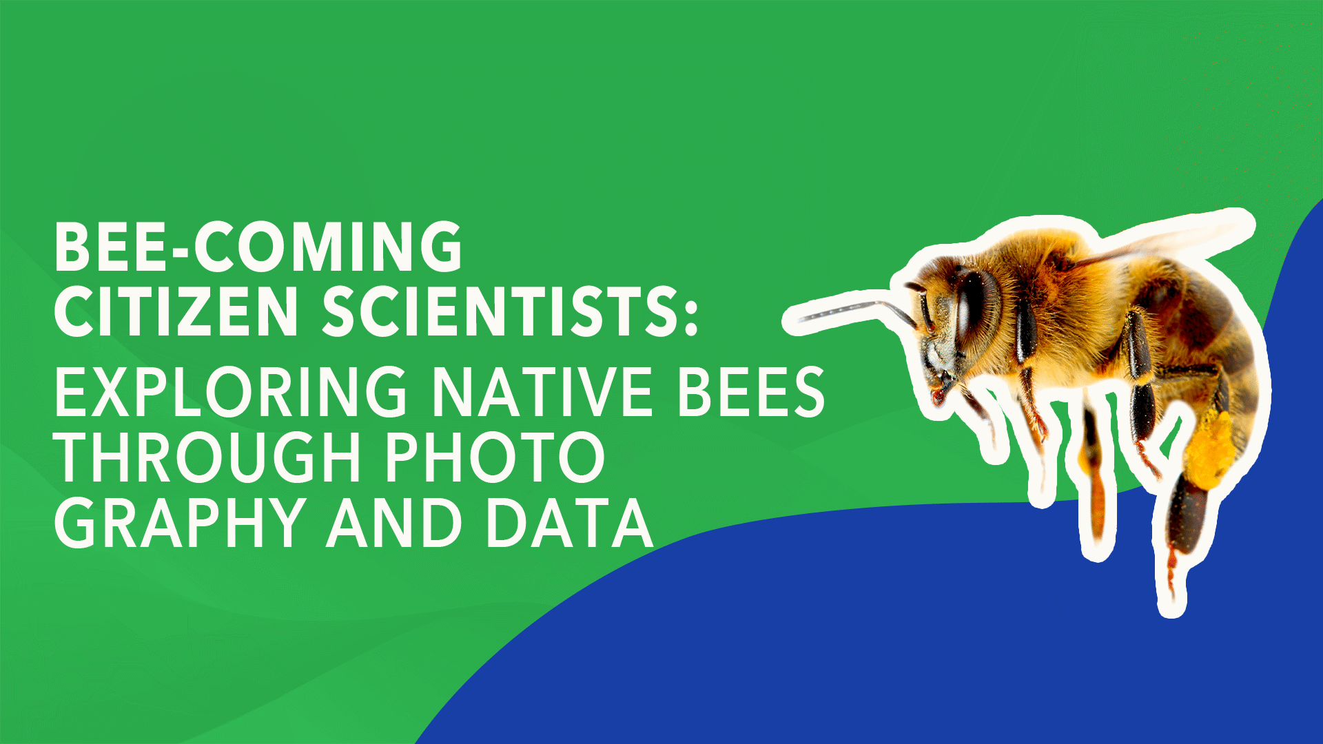 Bee-coming Citizen Scientists: Exploring Native Bees Through ...