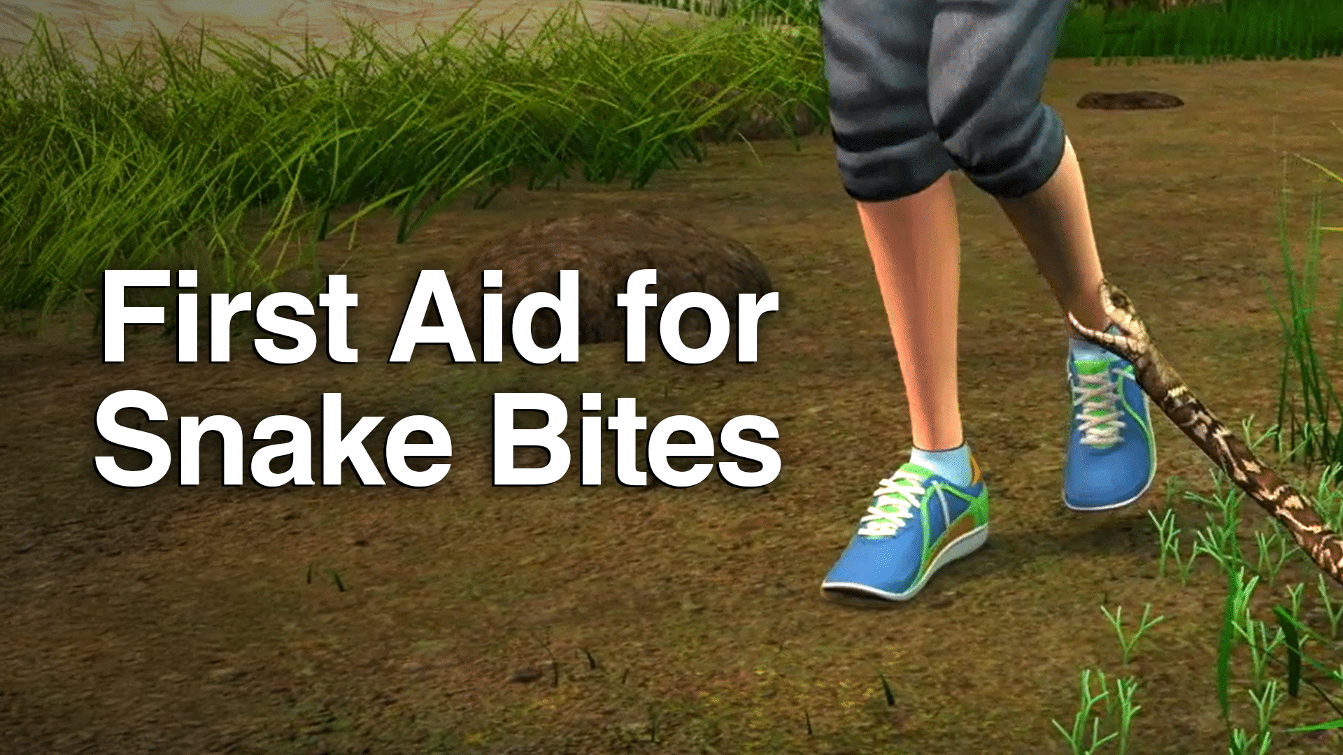 First Aid for Snake Bites Video & Resources | ClickView