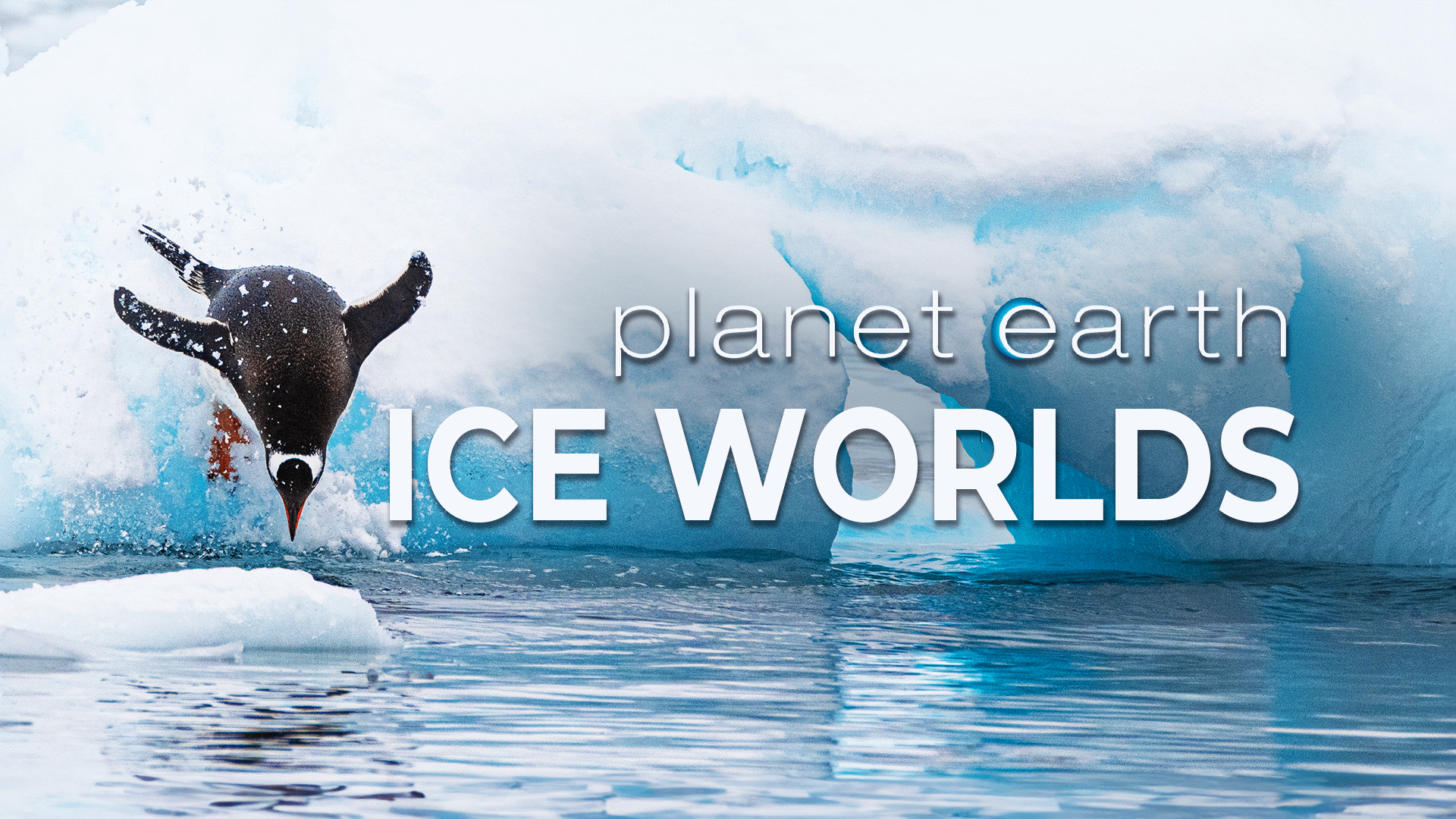 David Attenborough's Planet Earth | ClickView