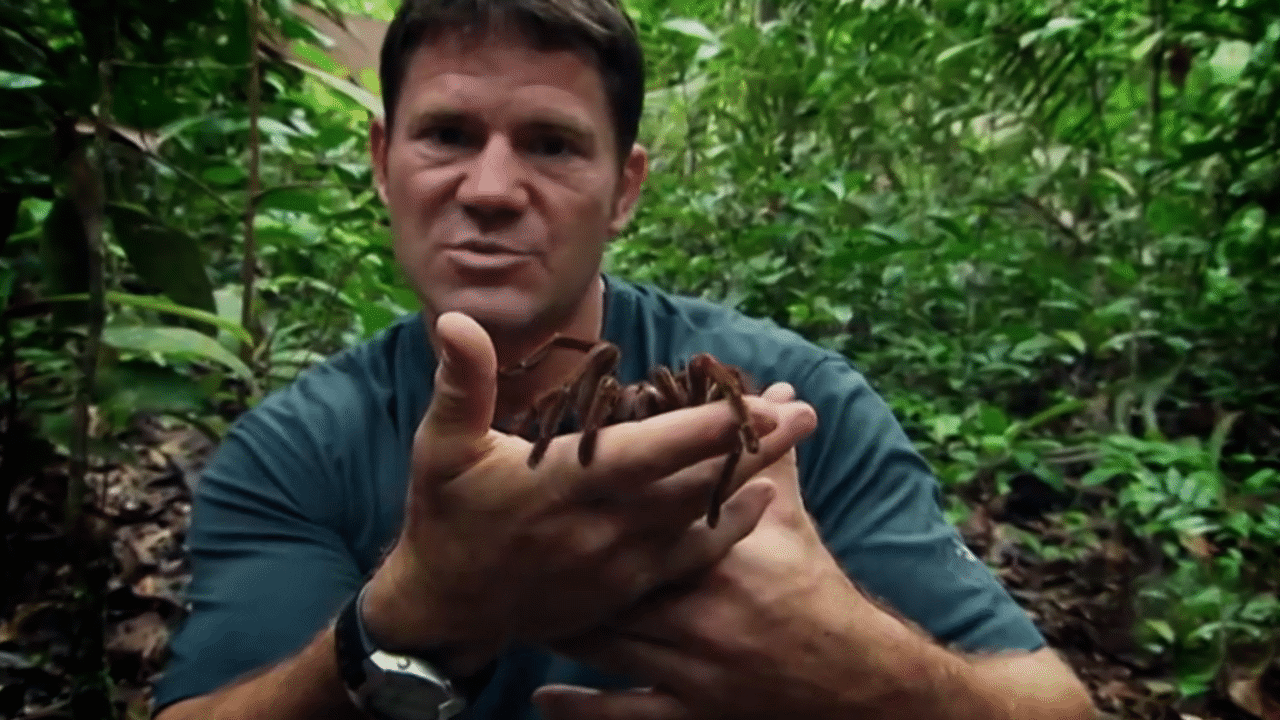 Wild And Weird - In this episode, Steve goes... - ClickView