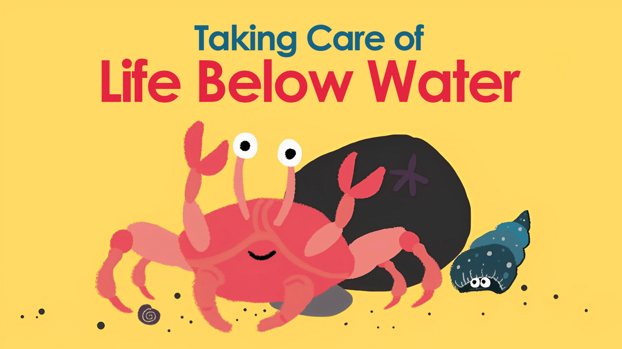 Global Goal 14: Life Below Water | ClickView